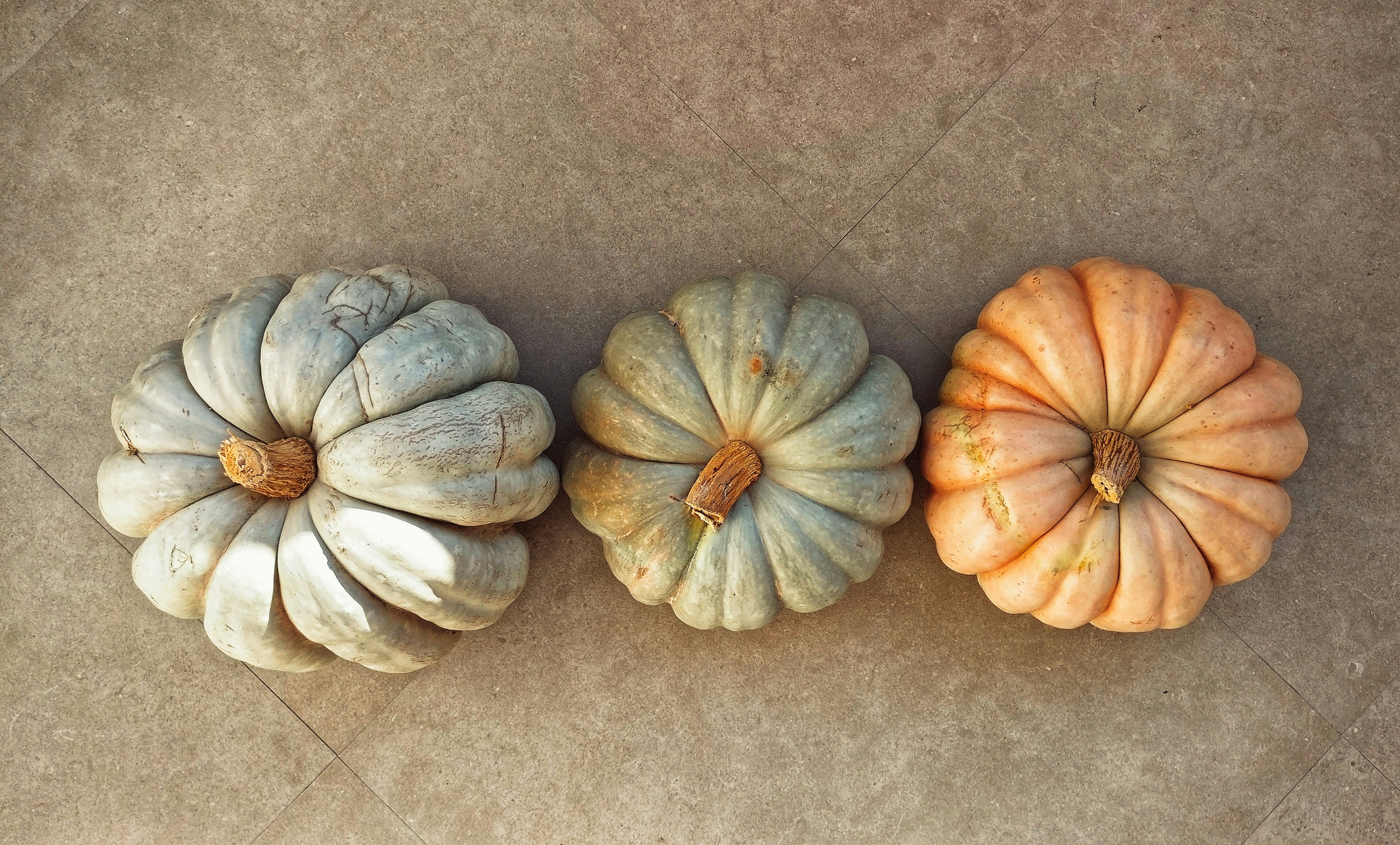 Trio of Pastel Pumpkins on a Weathered Surface