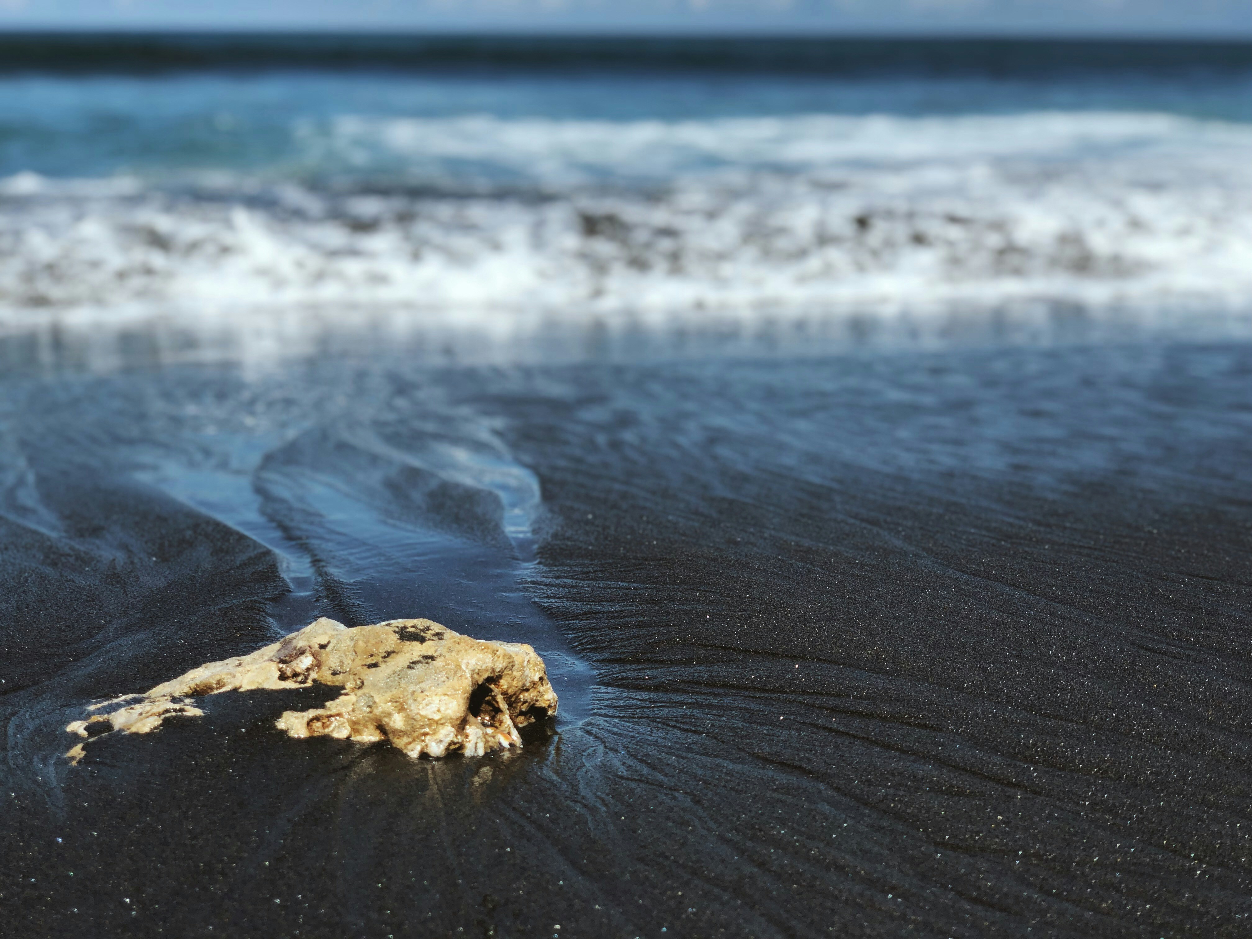 A weathered piece of driftwood rests on a black sand beach, with gentle waves lapping at the shore in the background.