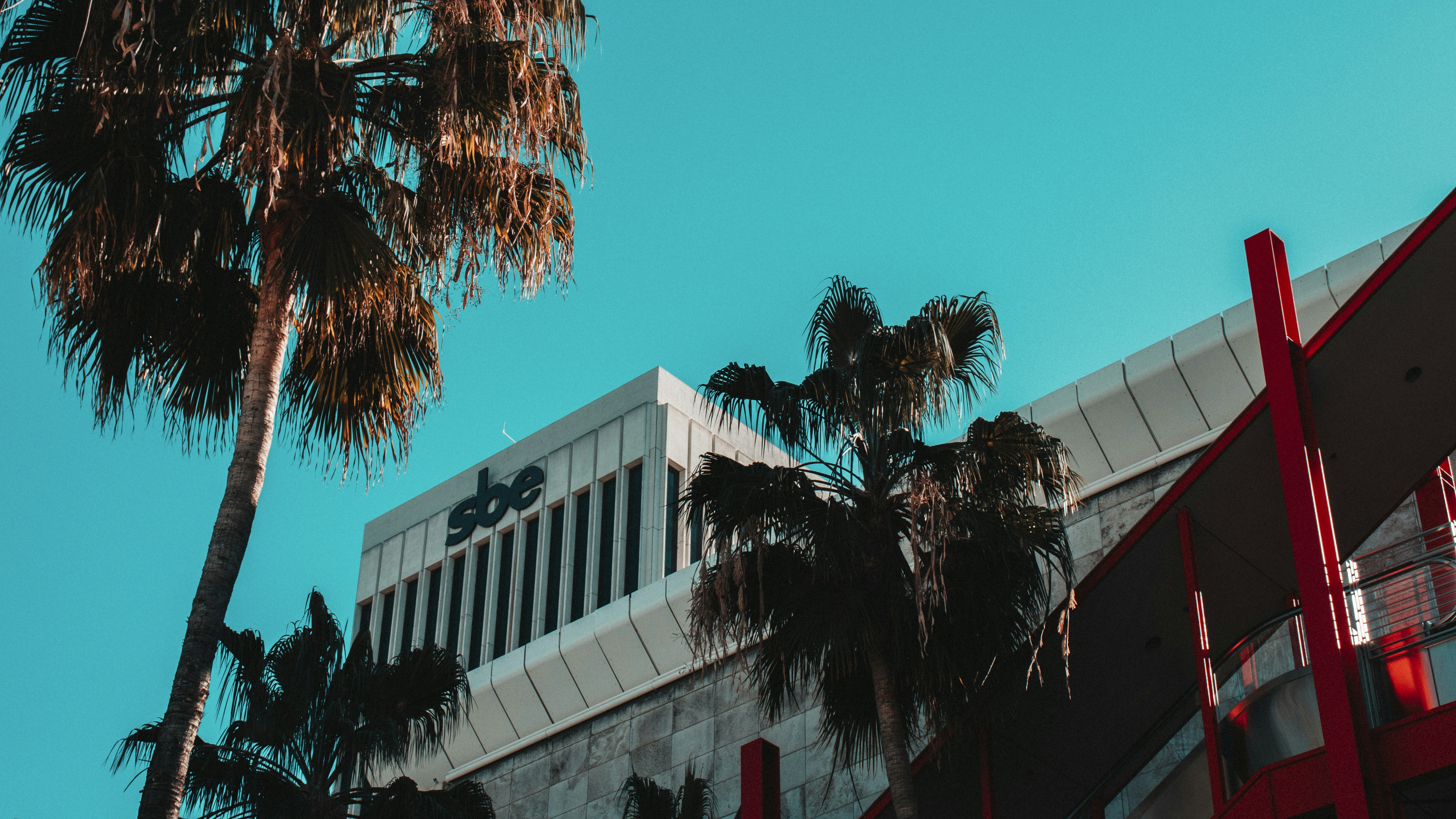 Modern building adorned with palm trees under a clear blue sky, highlighting a vibrant urban landscape.