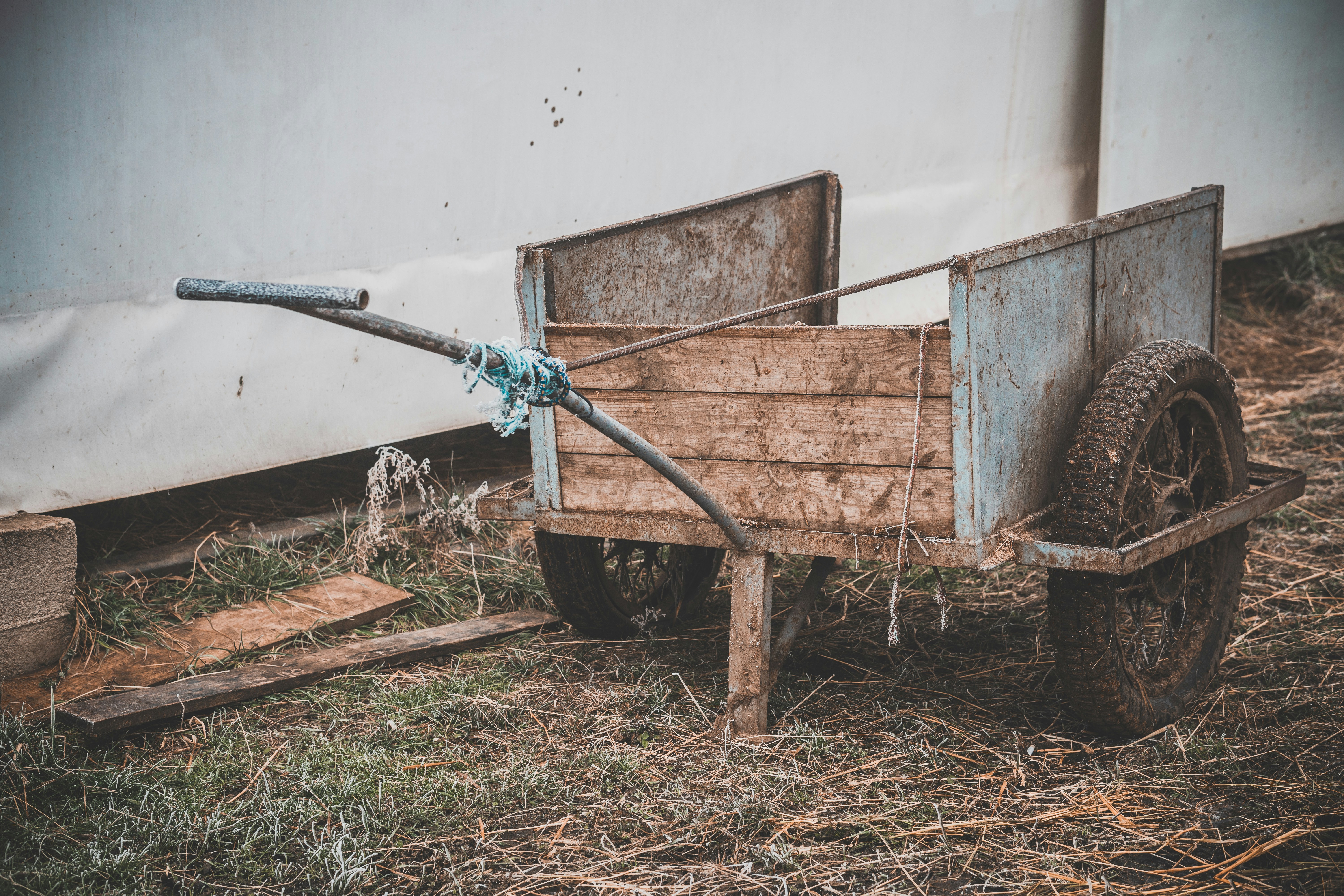 Selective focus photography of pull wagon beside white walll photo ...
