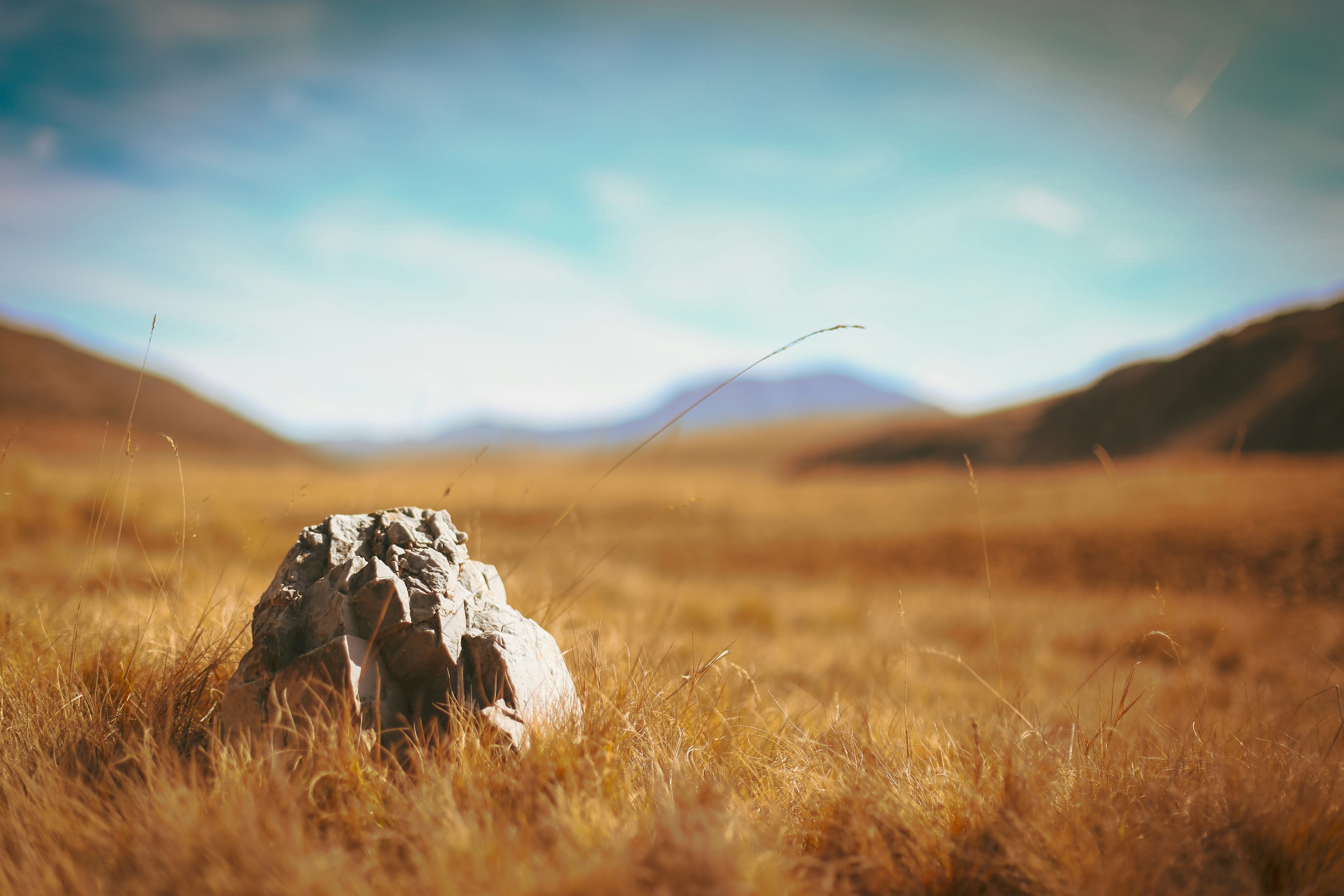 Rock Field Pictures | Download Free Images on Unsplash