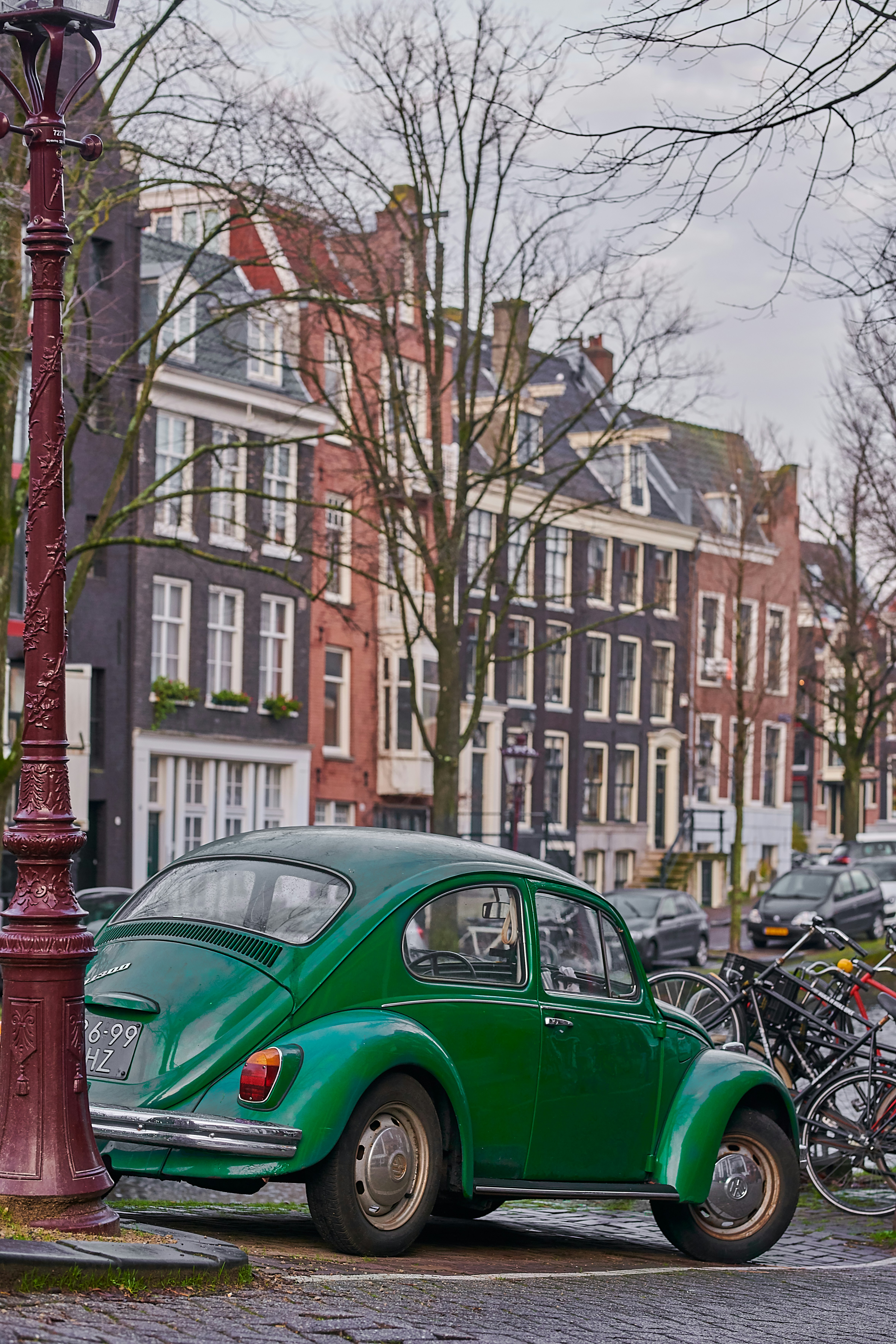 Green Beetle on a Cobblestone Amsterdam Street