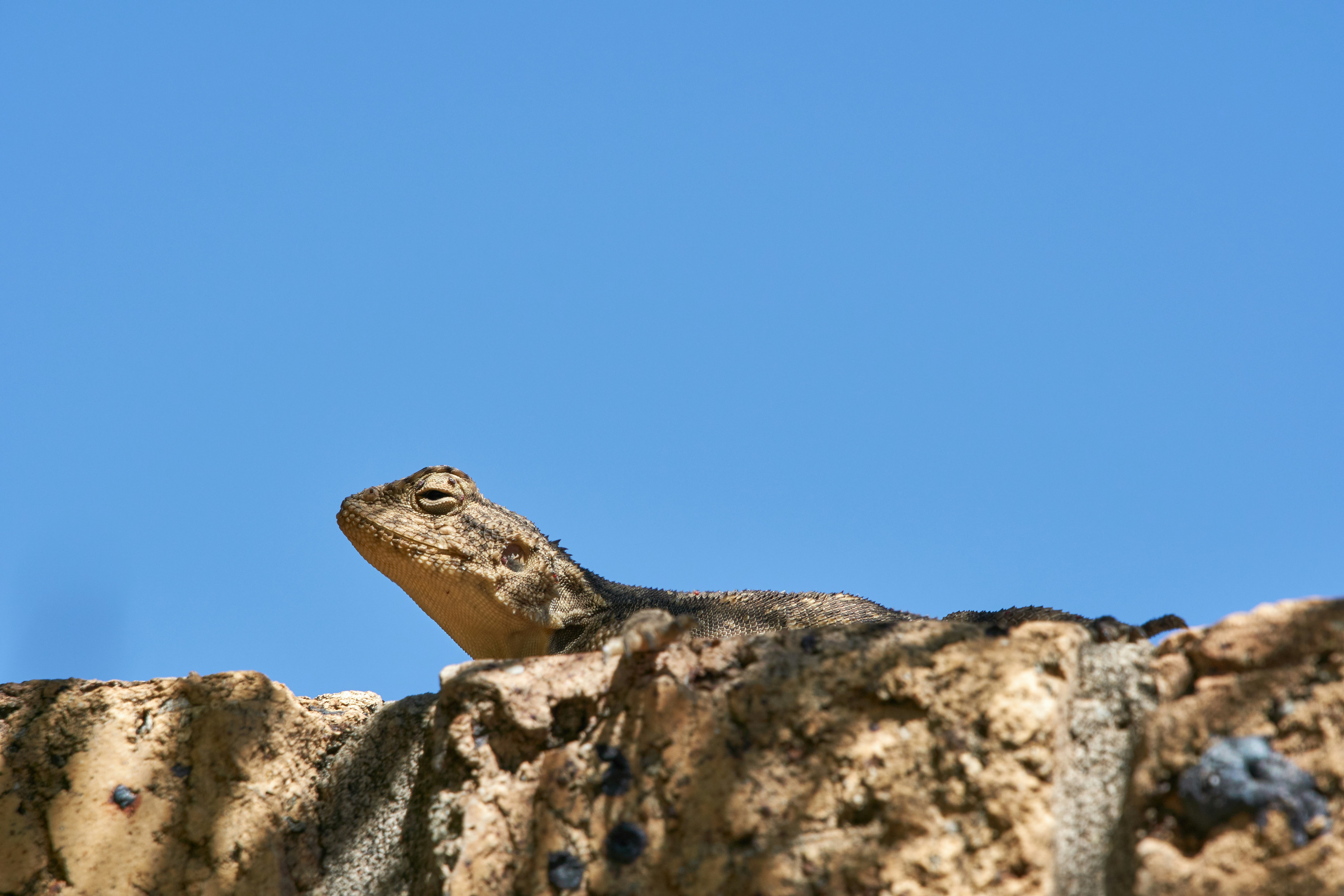 Lookout Above the Stone Sentry