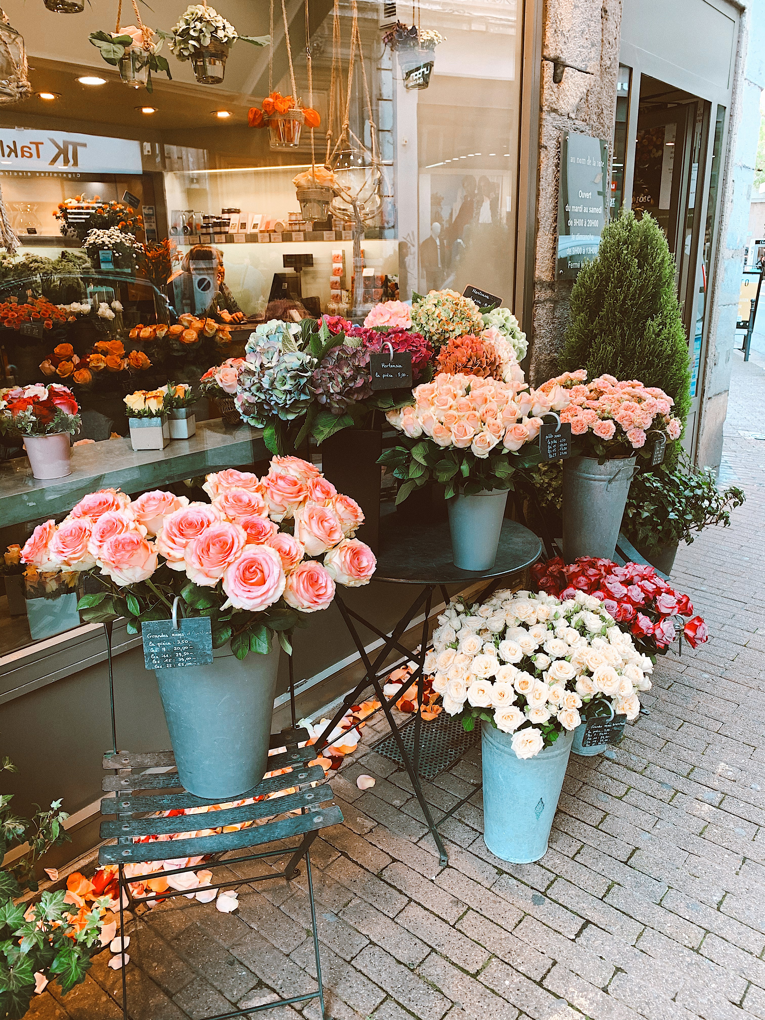 Assorted colors and varieties of flowers photo – Free Flower Image on ...