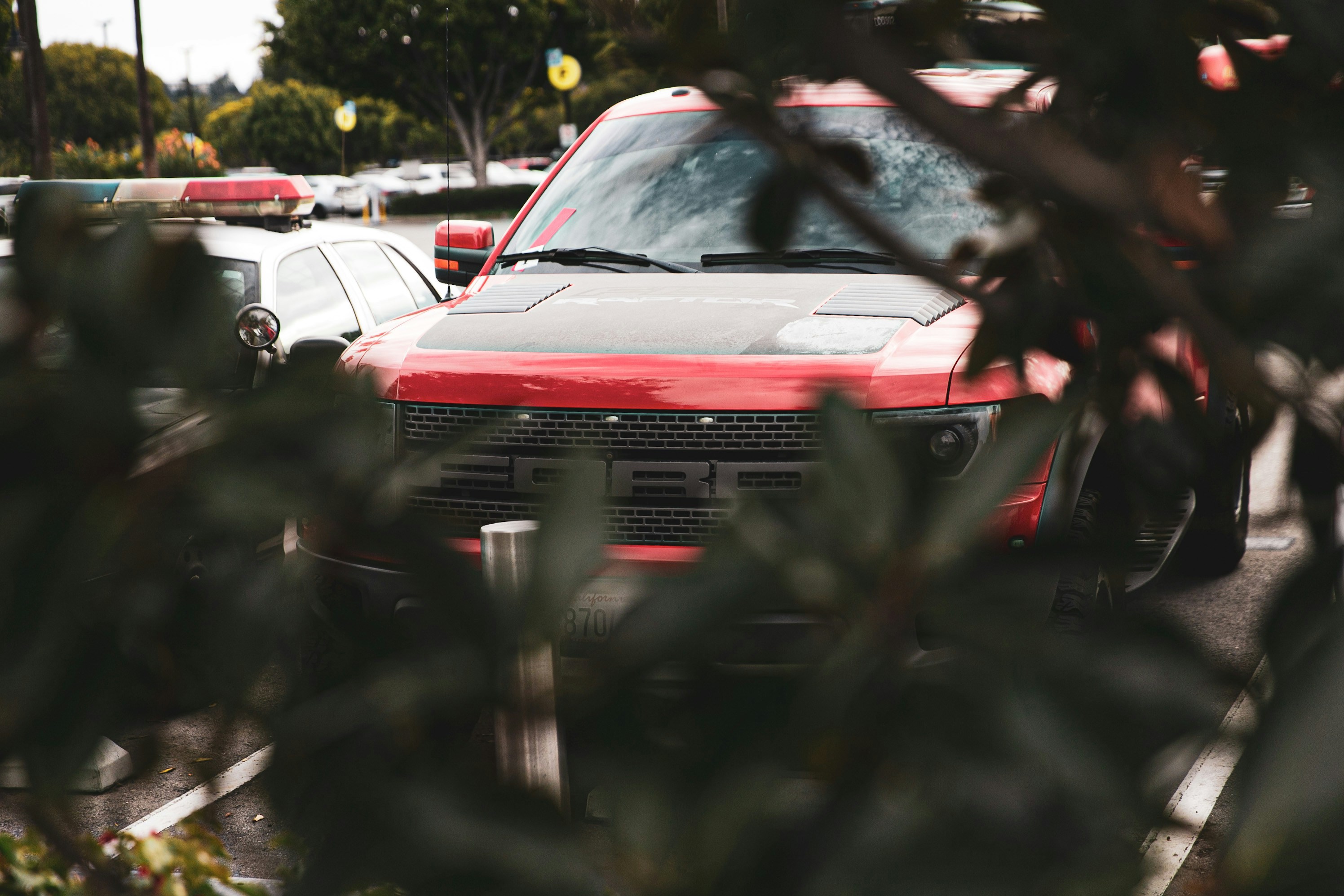 red and black Ford vehicle behind leaves