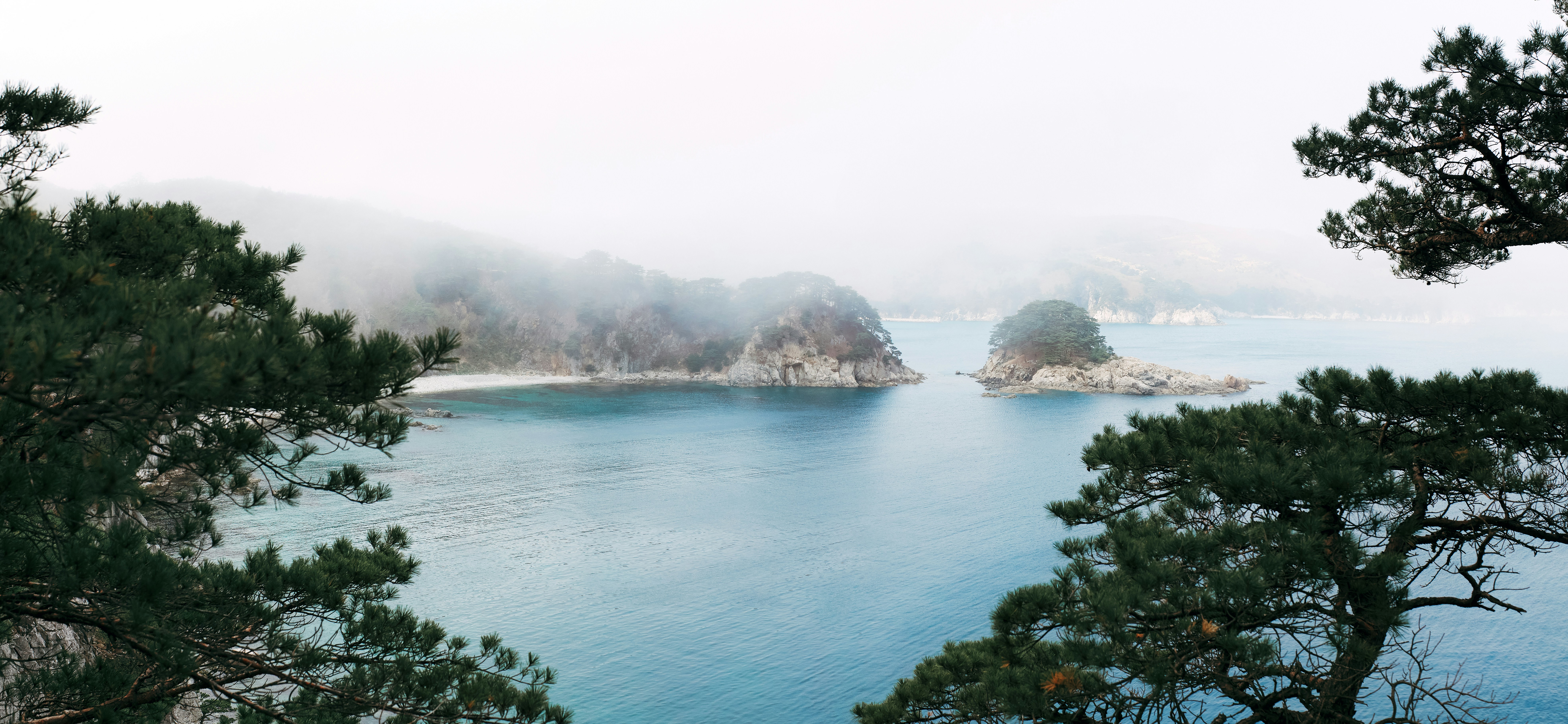Whispers of the Misty Cove