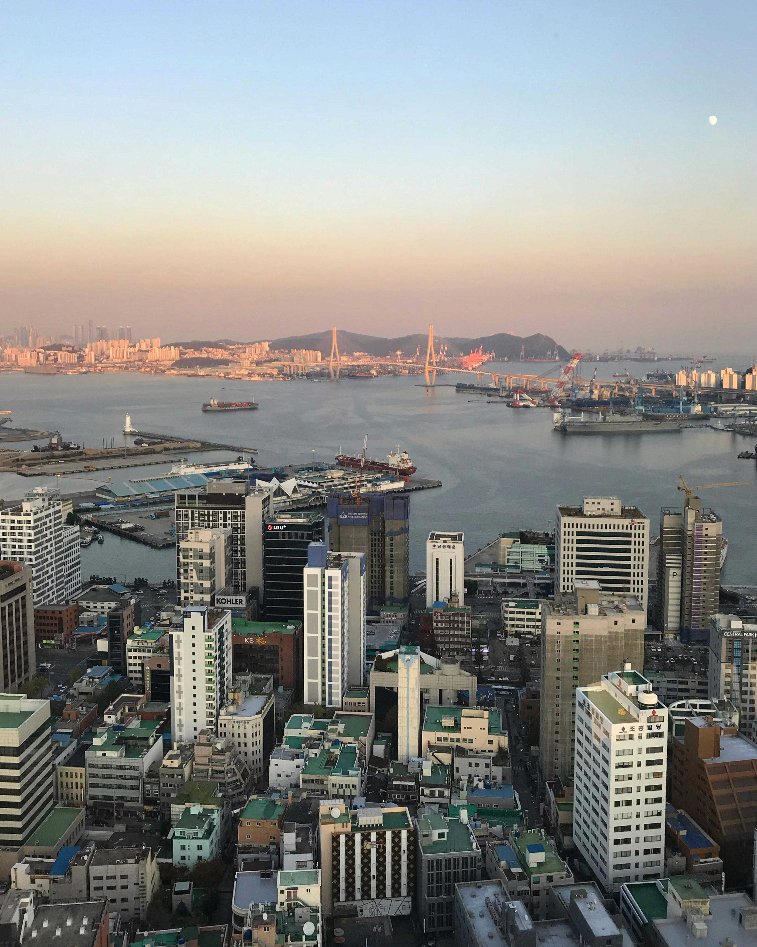 Aerial photography of high-rise buildings photo – Free Tower Image on ...