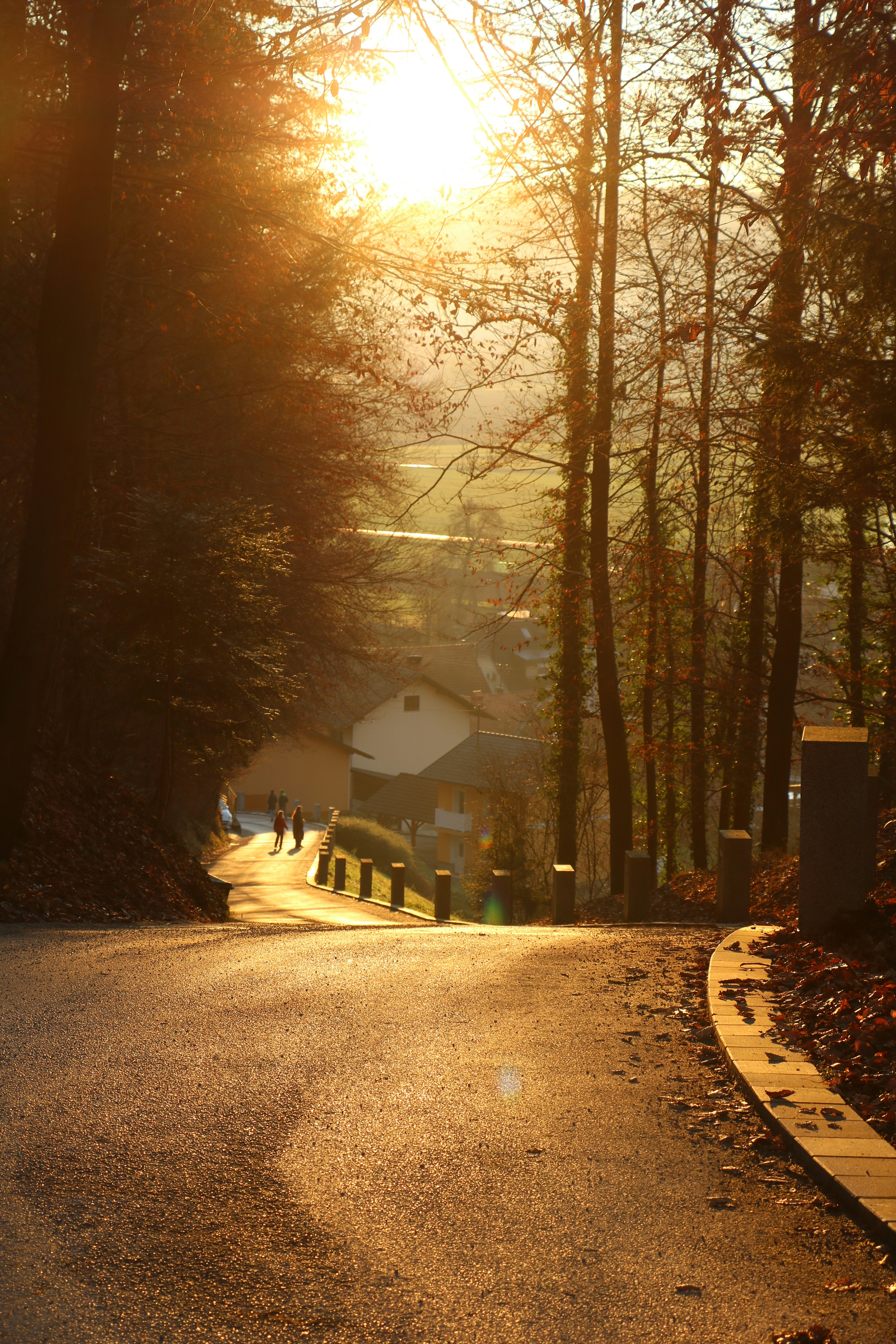 Sunset photograph photo – Free Golden hour Image on Unsplash