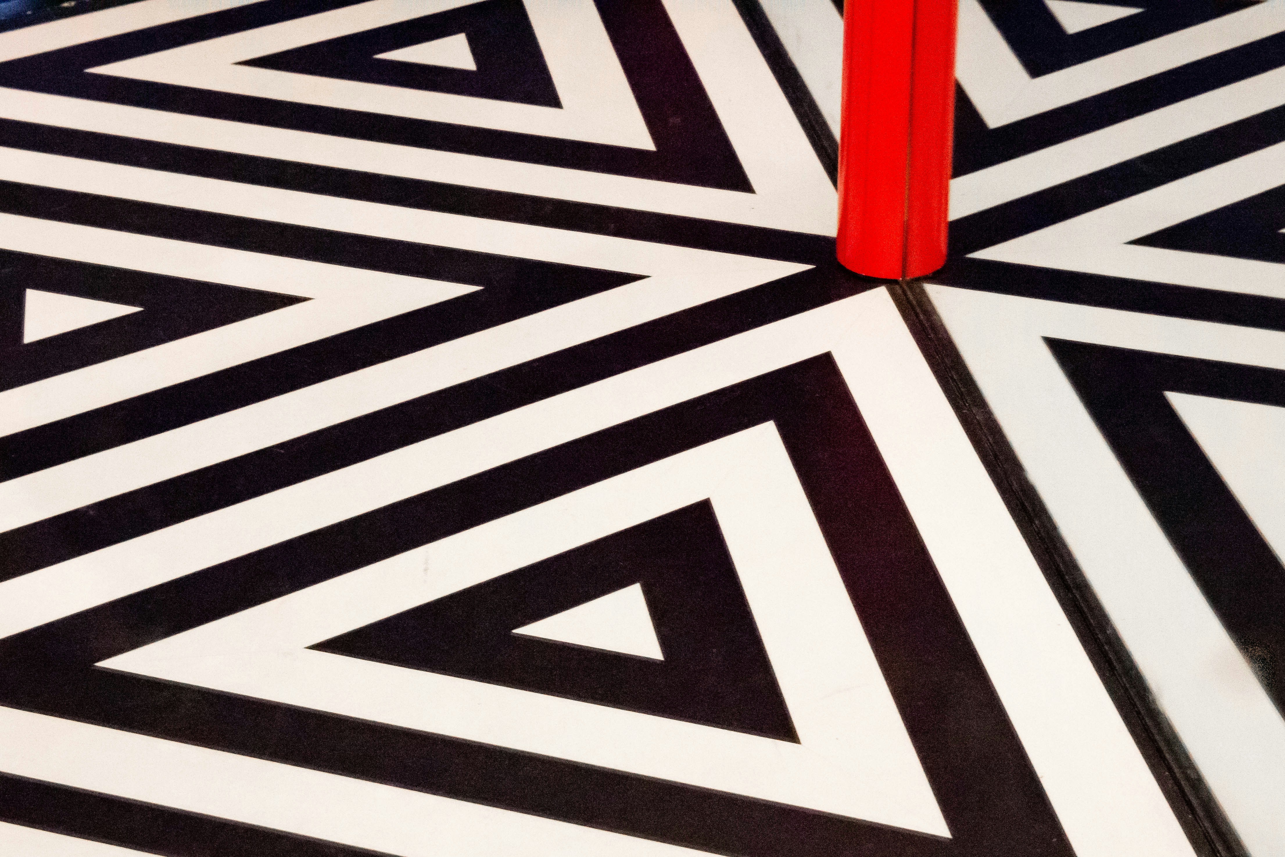 Ash Amplifies (@ashamplifies) | Comunidad de fotos de Unsplash