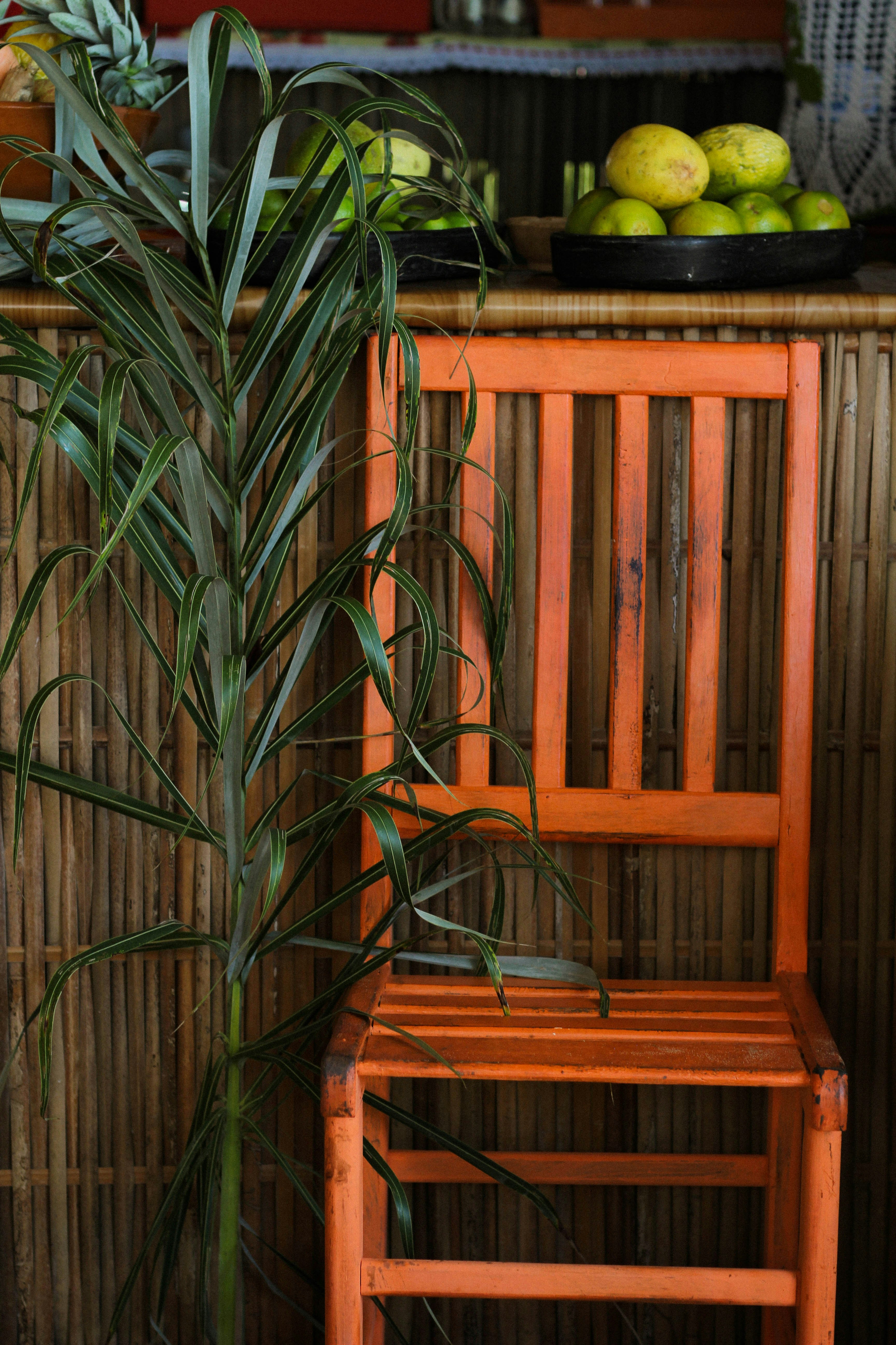 green leaf plant near vacant brown wooden armless chair