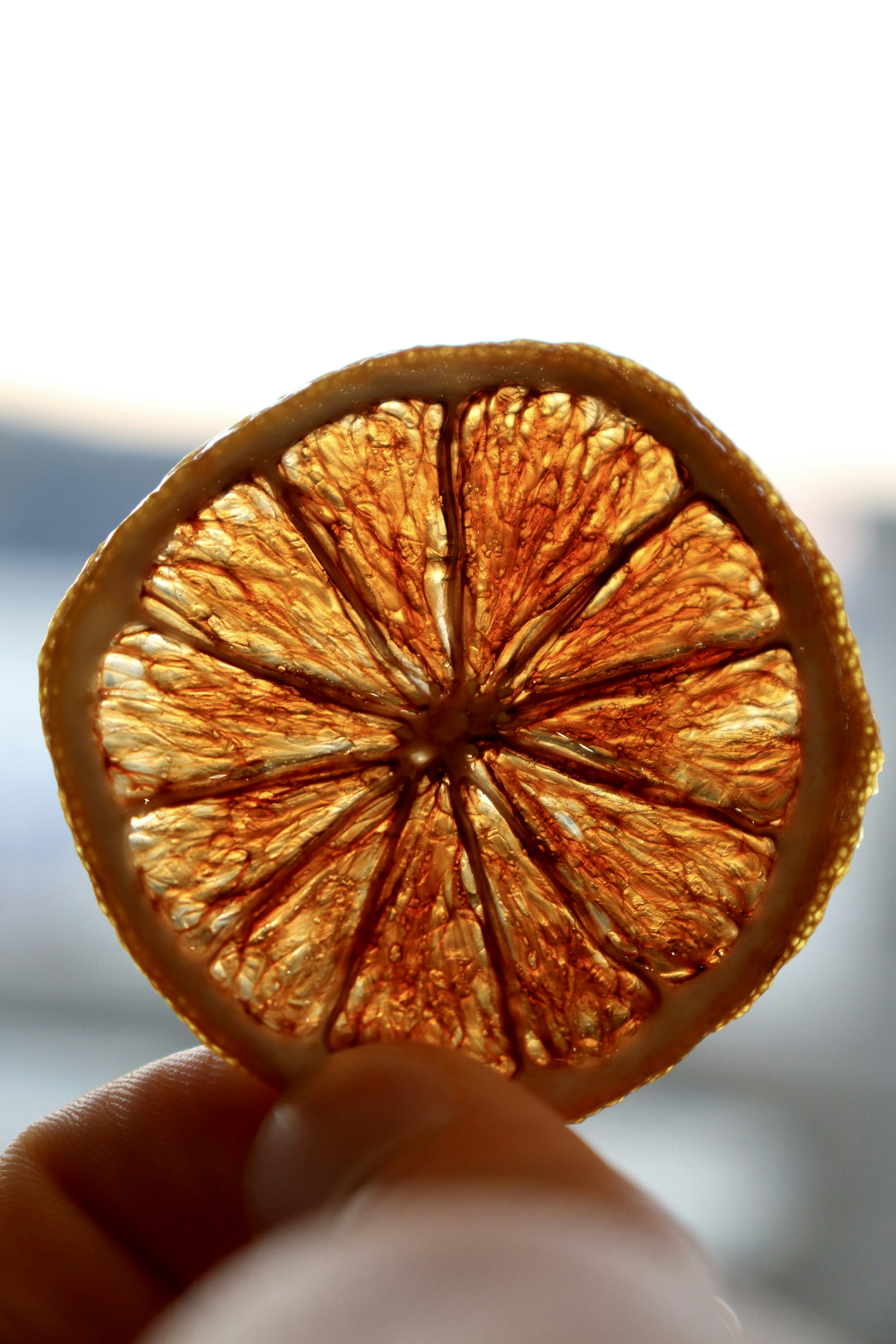 sliced lemon