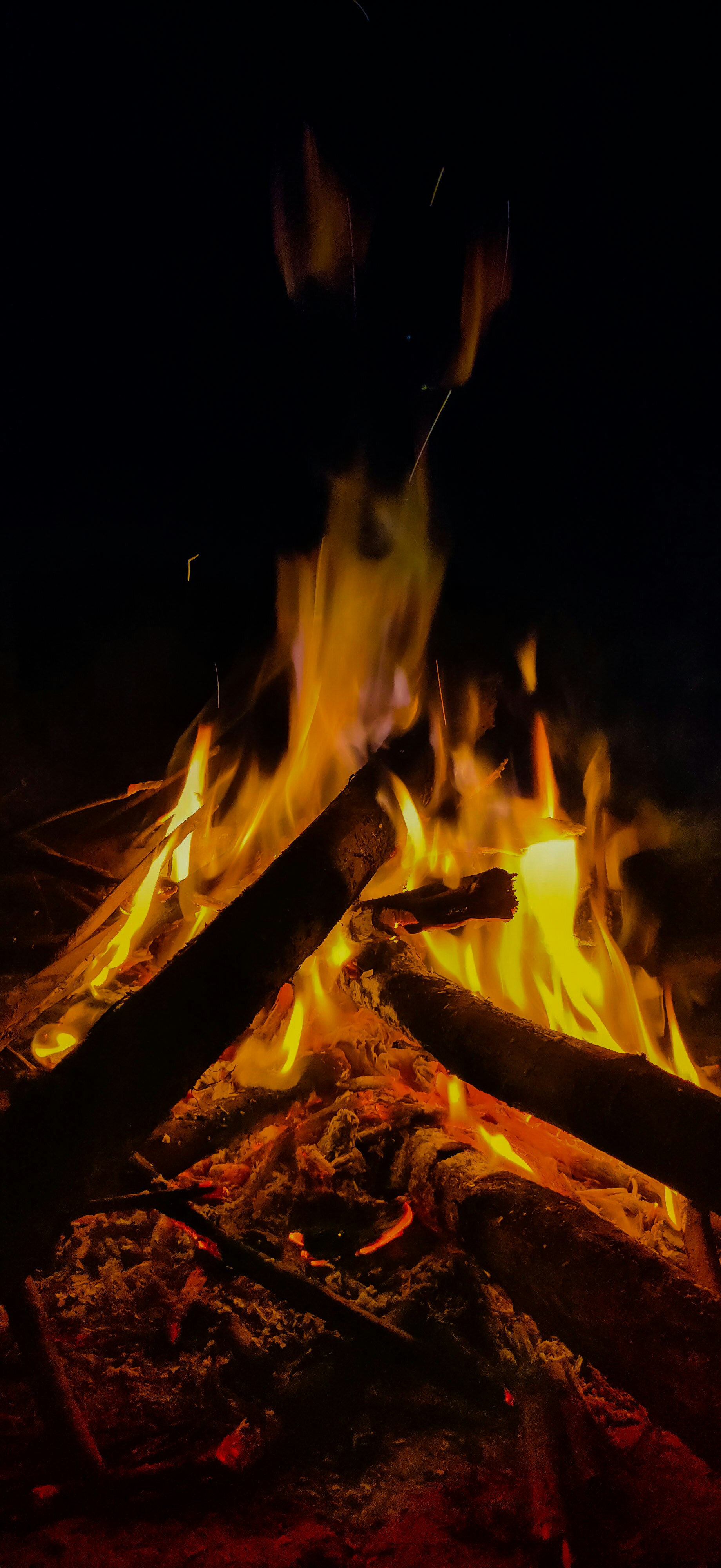 Logs burning brightly in a nighttime bonfire with vivid flames against a dark backdrop.