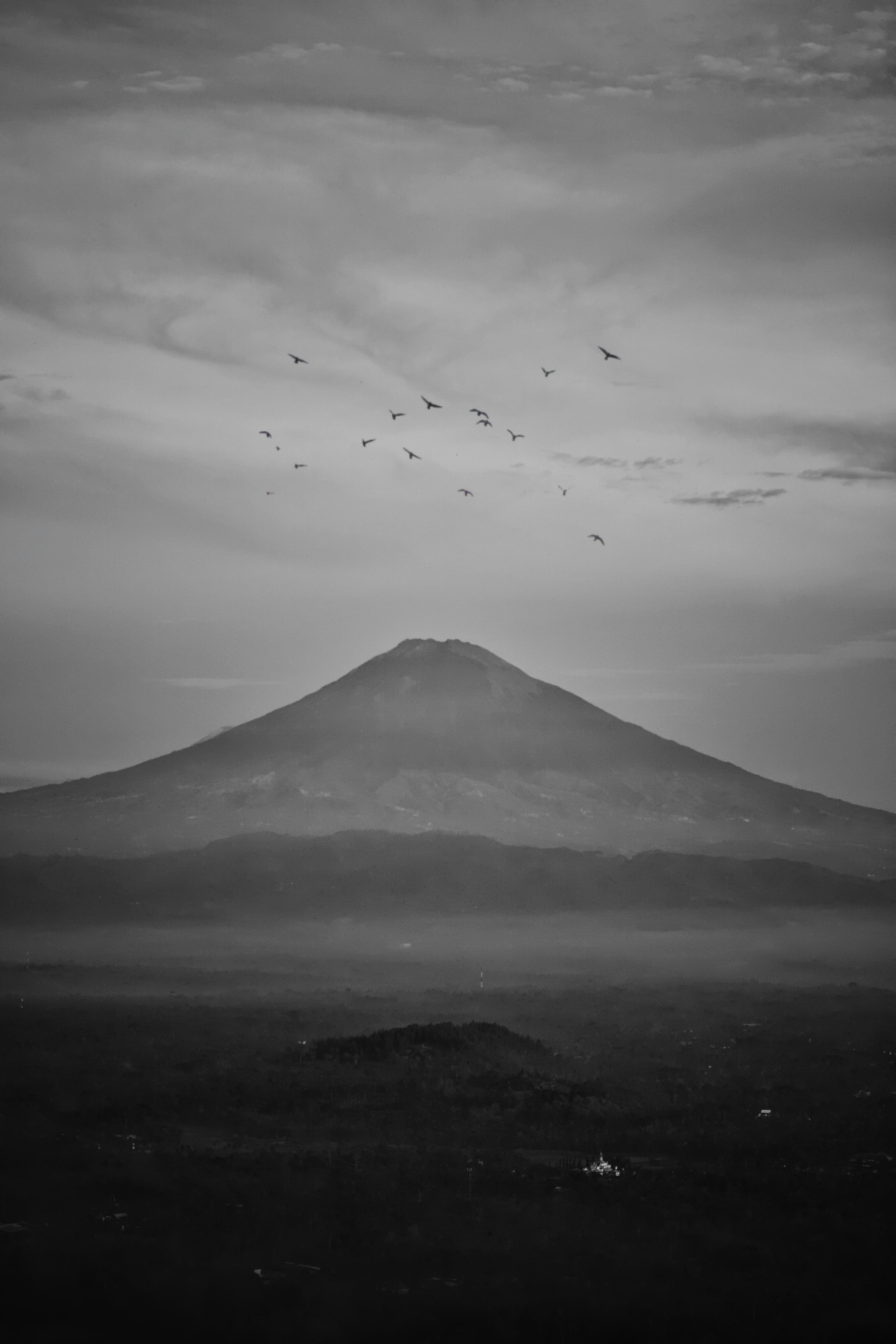 Silent Summit: A Lone Volcano Under a Flocking Sky
