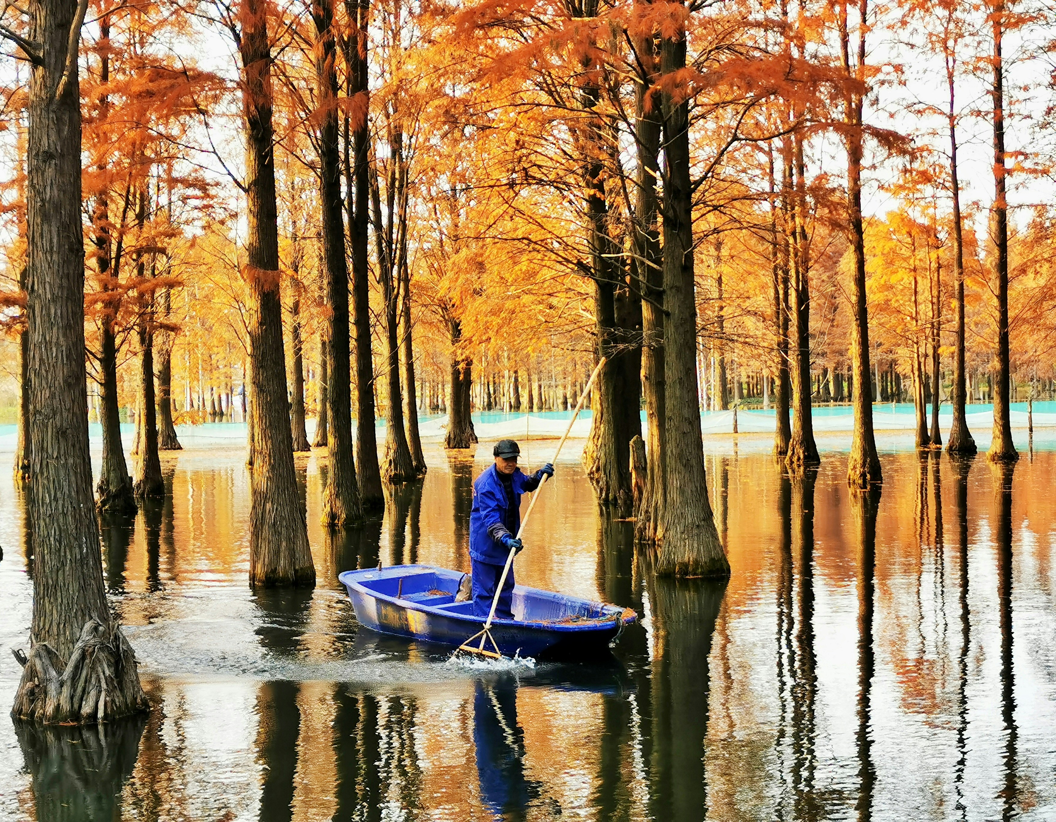 Autumn Channel: A lone rower Steers Through a Gallery of Copper-Toned Trees