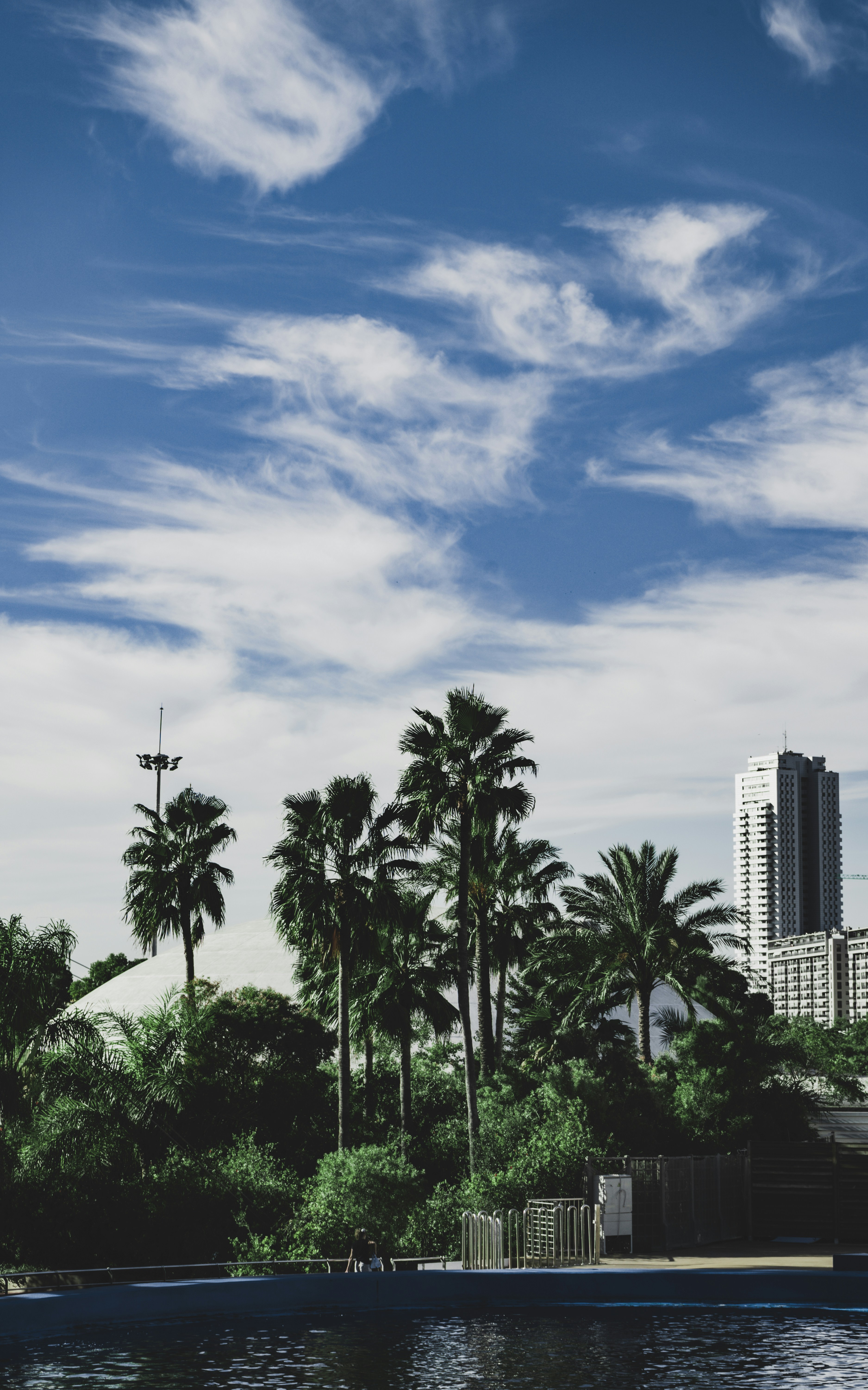 A photograph showing tall palms along a pool with a distant high-rise, set under a bright blue sky with wispy clouds.