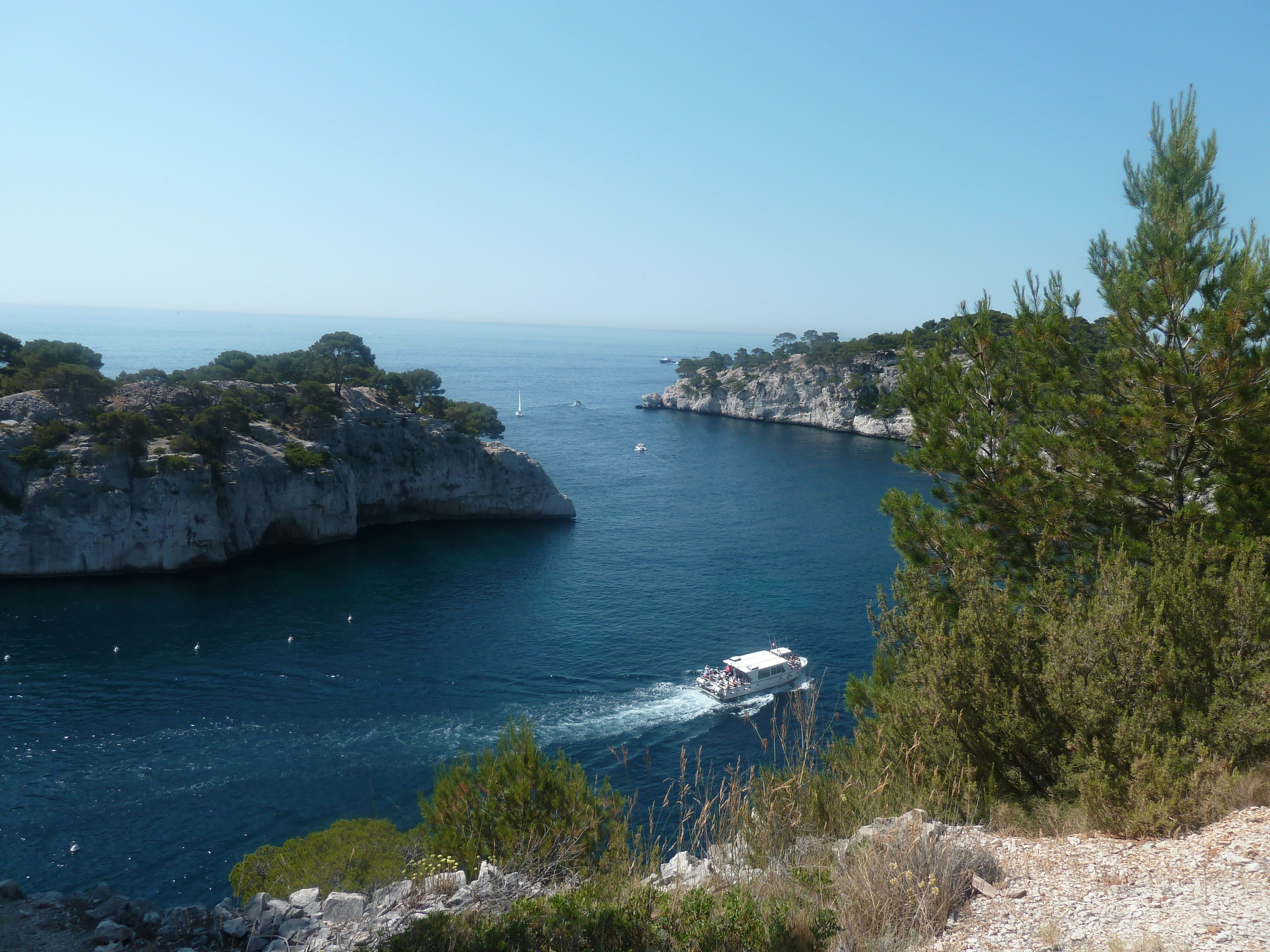 White passenger boat navigating a calm cove surrounded by rocky cliffs and lush greenery during daylight.