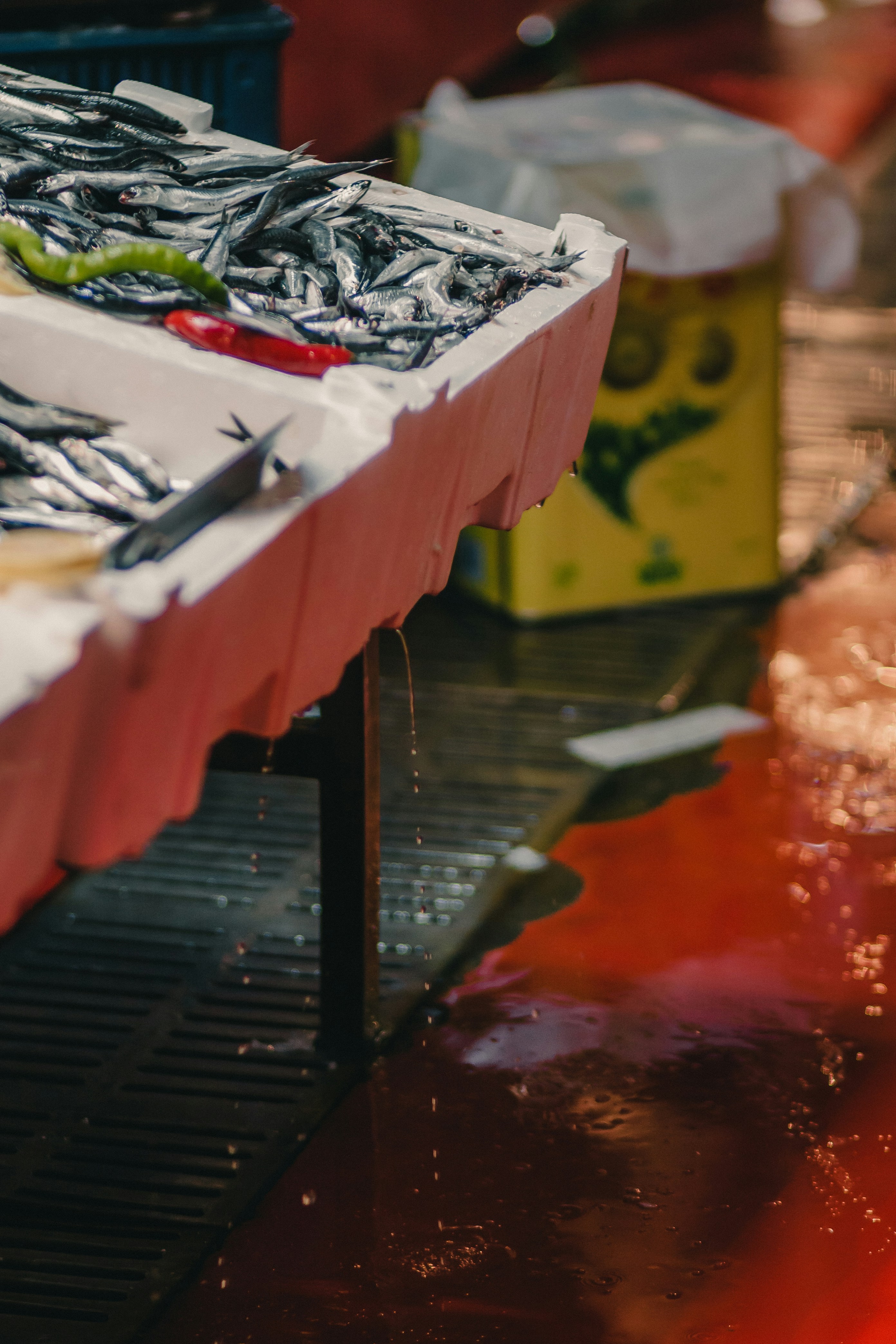 Ice-Glint Row: Tiny Silver Fish on Crushed Ice at a Market Stall