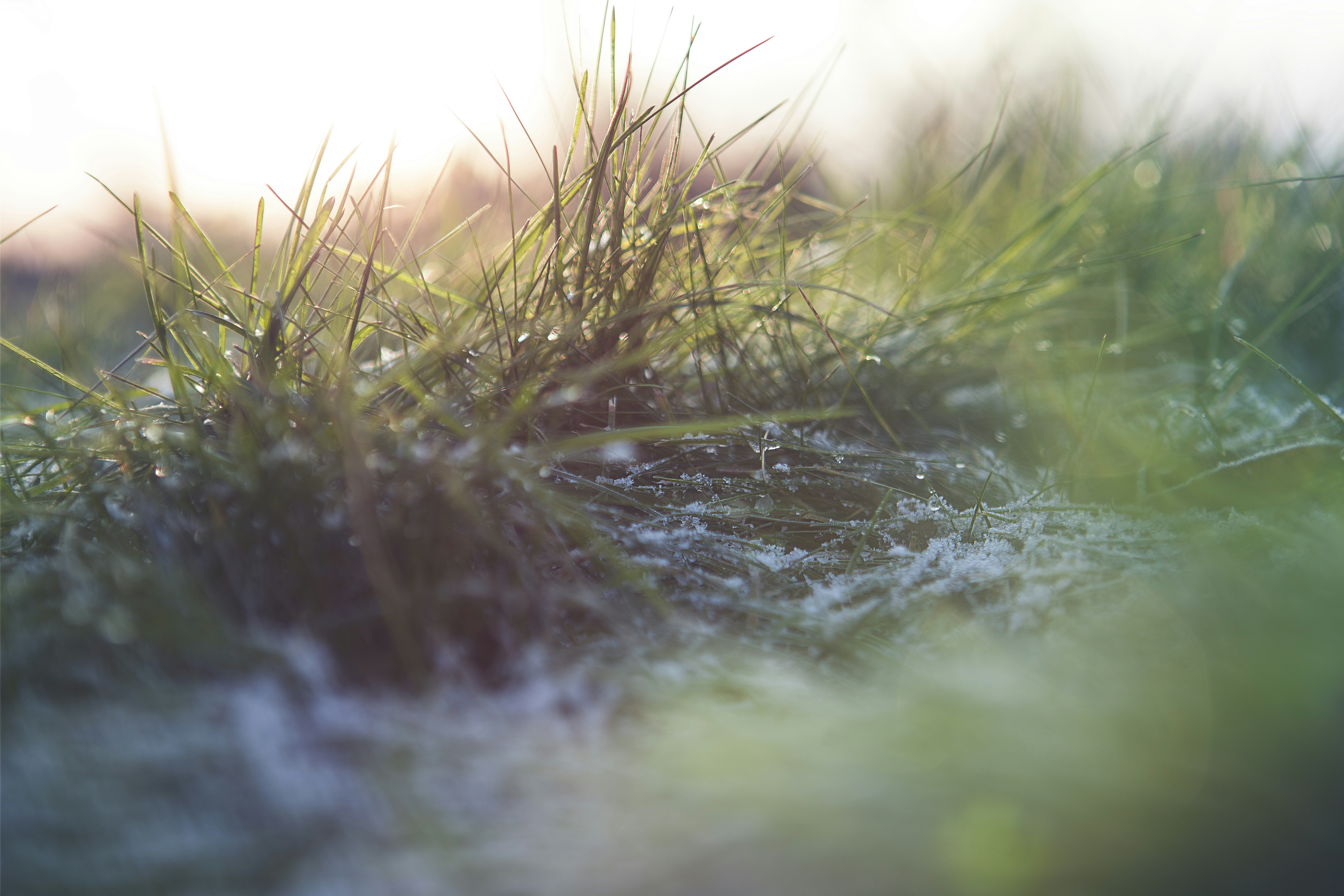 Mari Potter (@maripotter) | Unsplash Photo Community