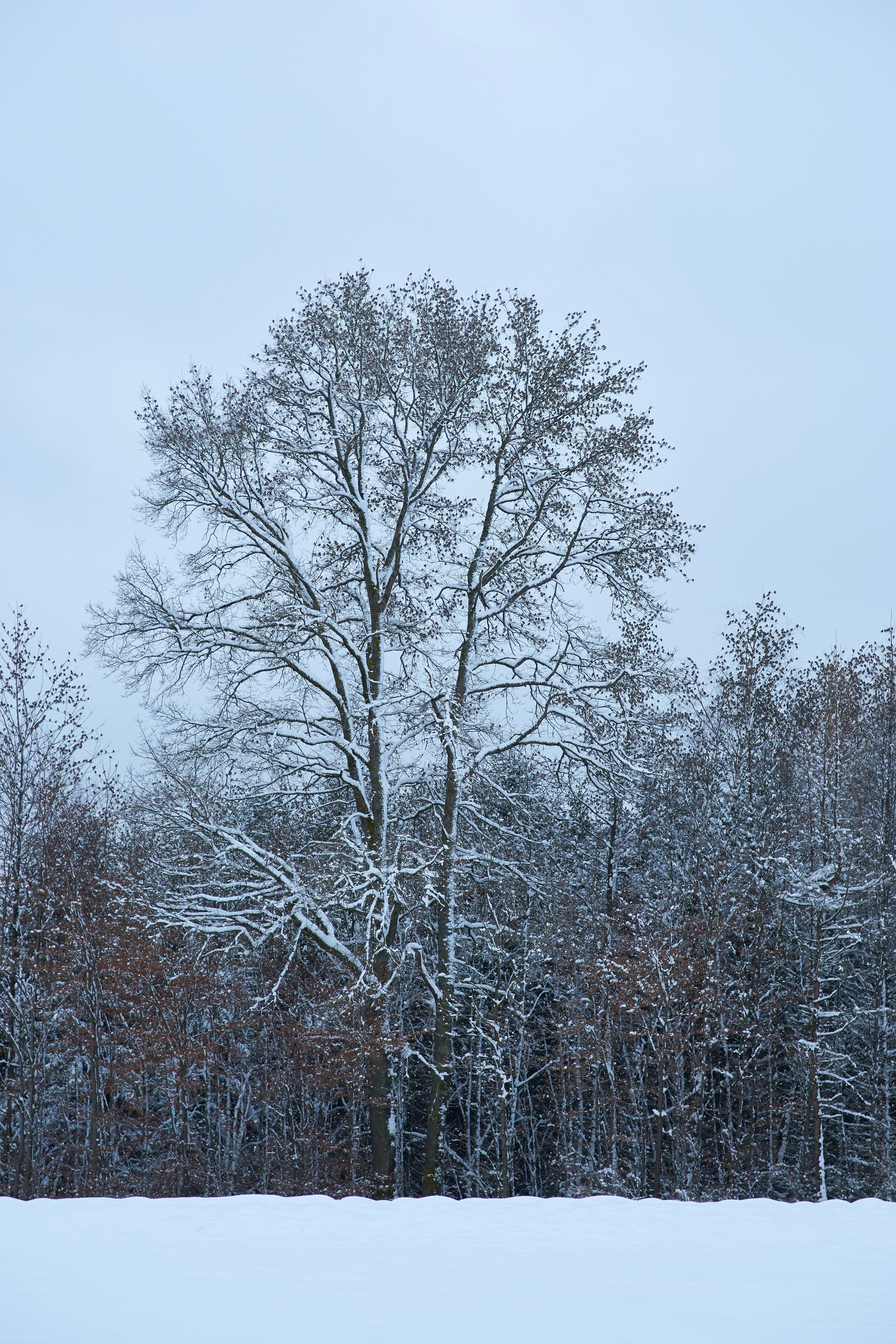 Définition de grouiller | Dictionnaire français