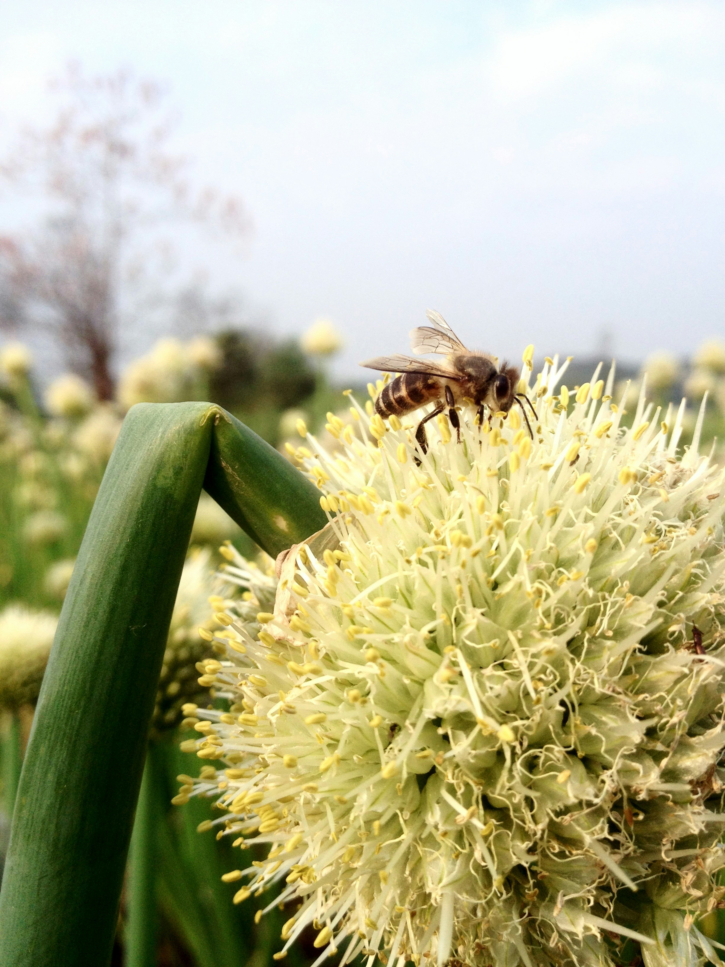 Jonathan Beckman (@jbecks) | Unsplash-Foto-Community