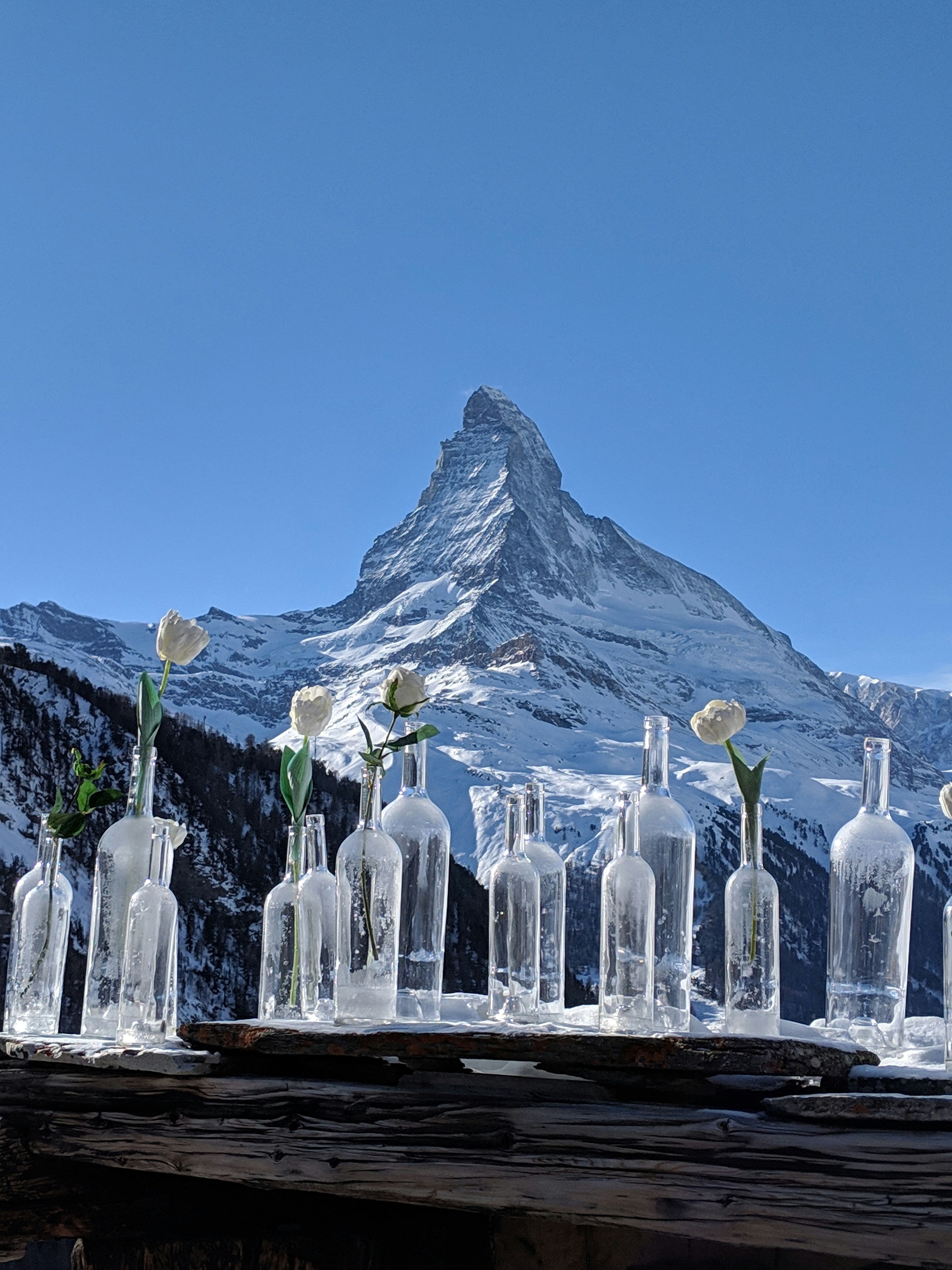 A collection of frozen glass bottles with white roses, set against the majestic Matterhorn mountain under a clear blue sky.