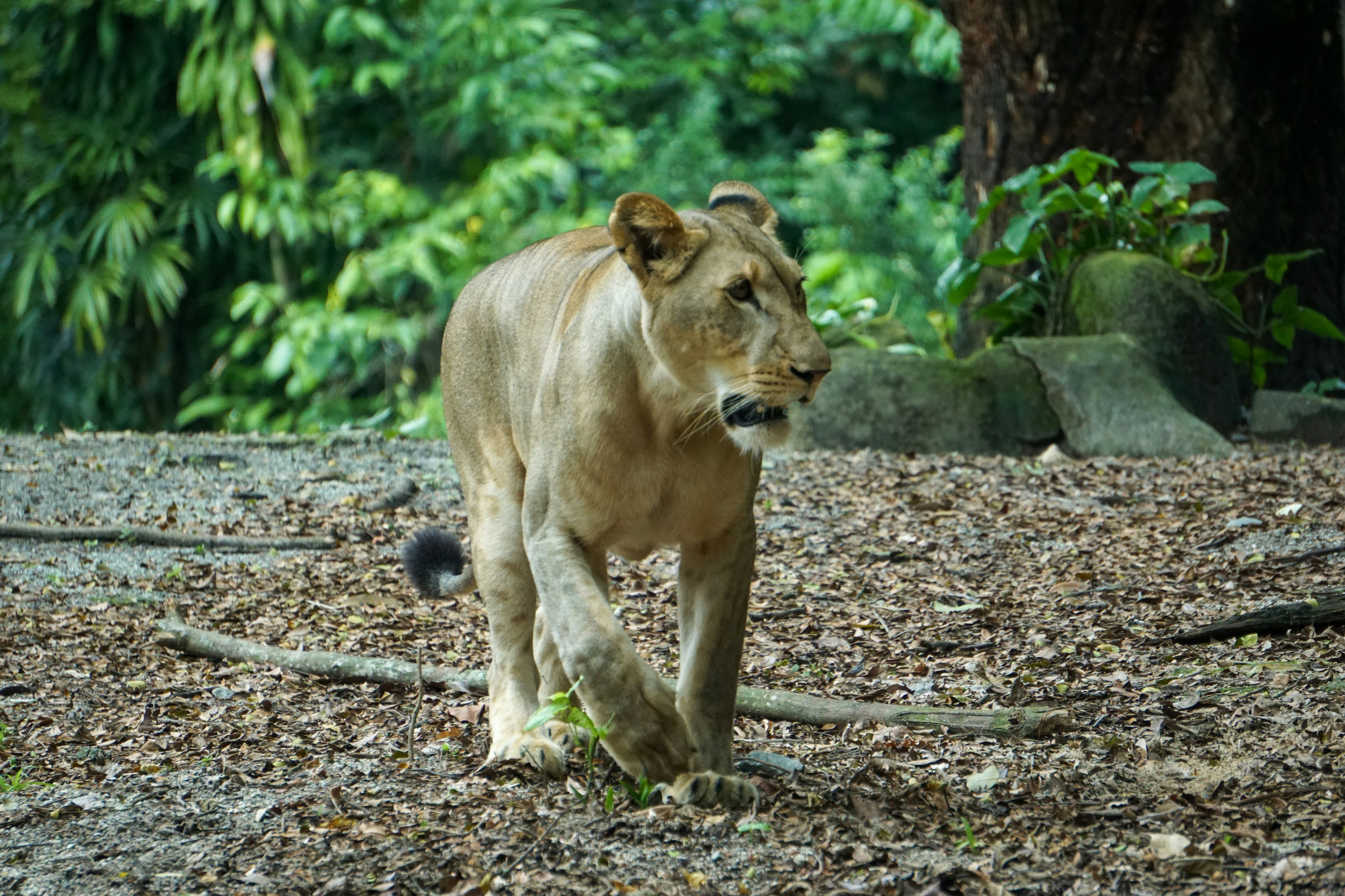 Stuart Jansen (@stujansen) | Unsplashフォトコミュニティ