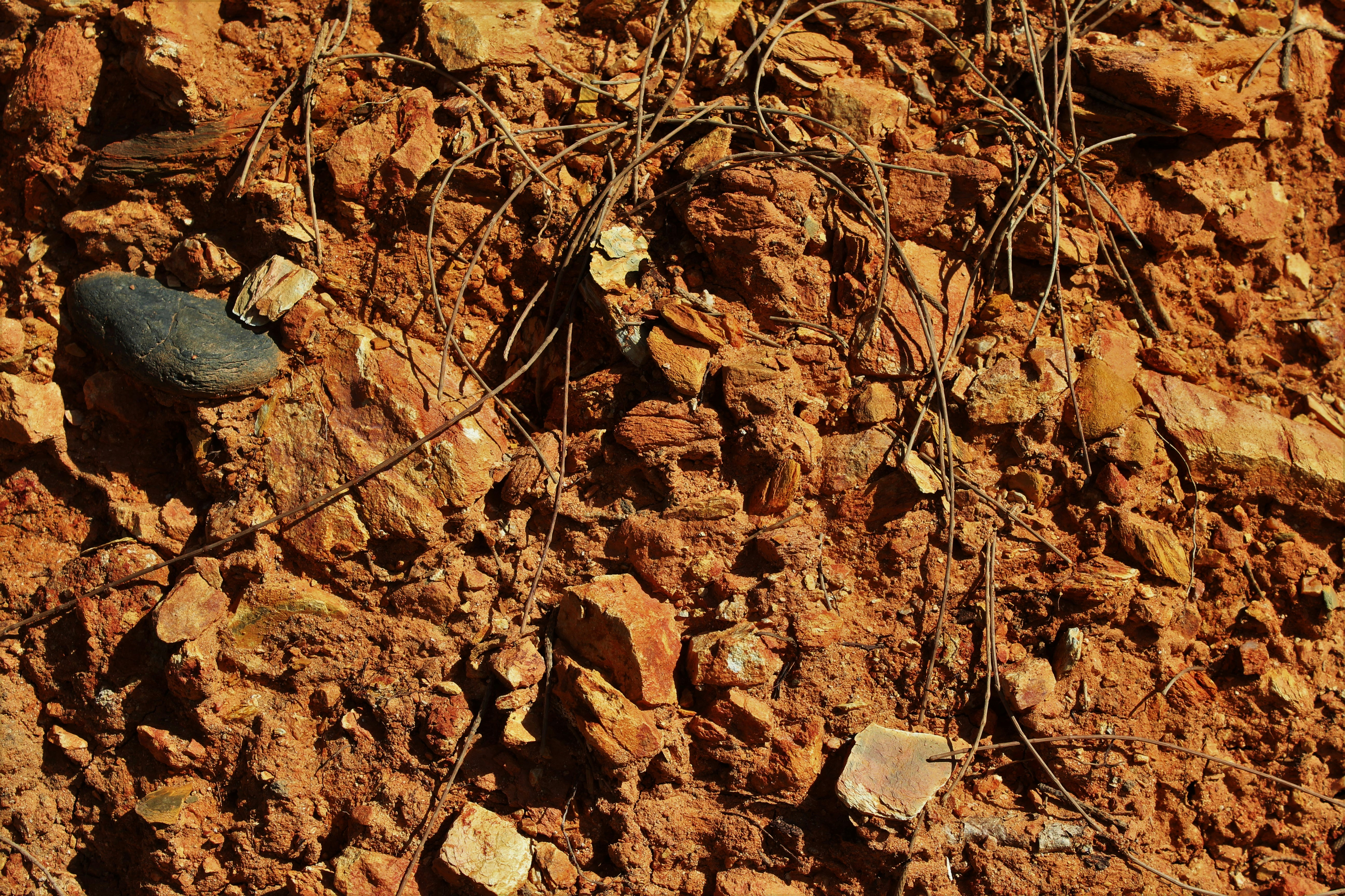 GAWN AUSTRALIA (@gawn) | Unsplash Photo Community