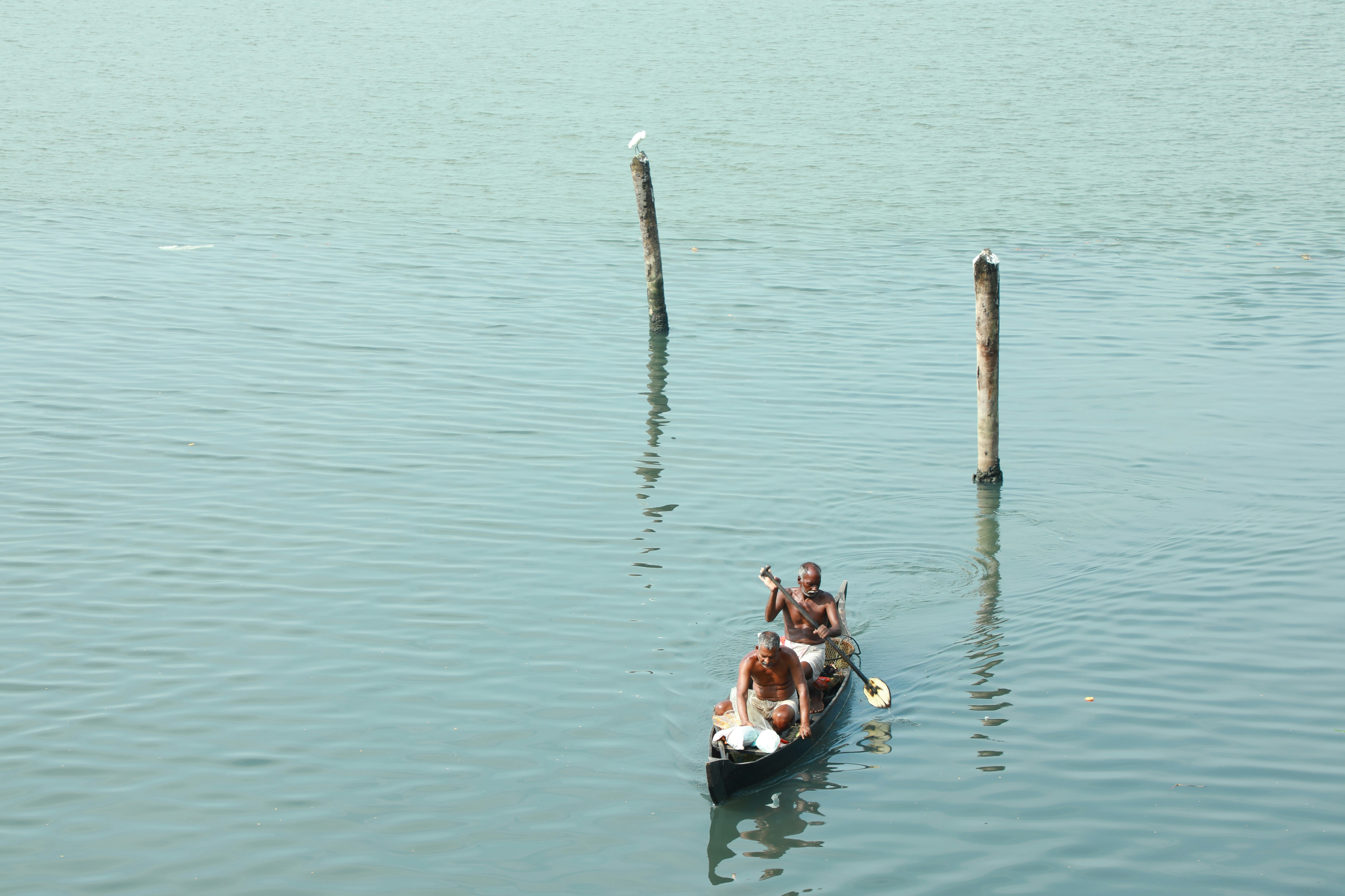 Two individuals paddling a canoe on calm waters, with wooden posts emerging from the surface and a bird perched above. 