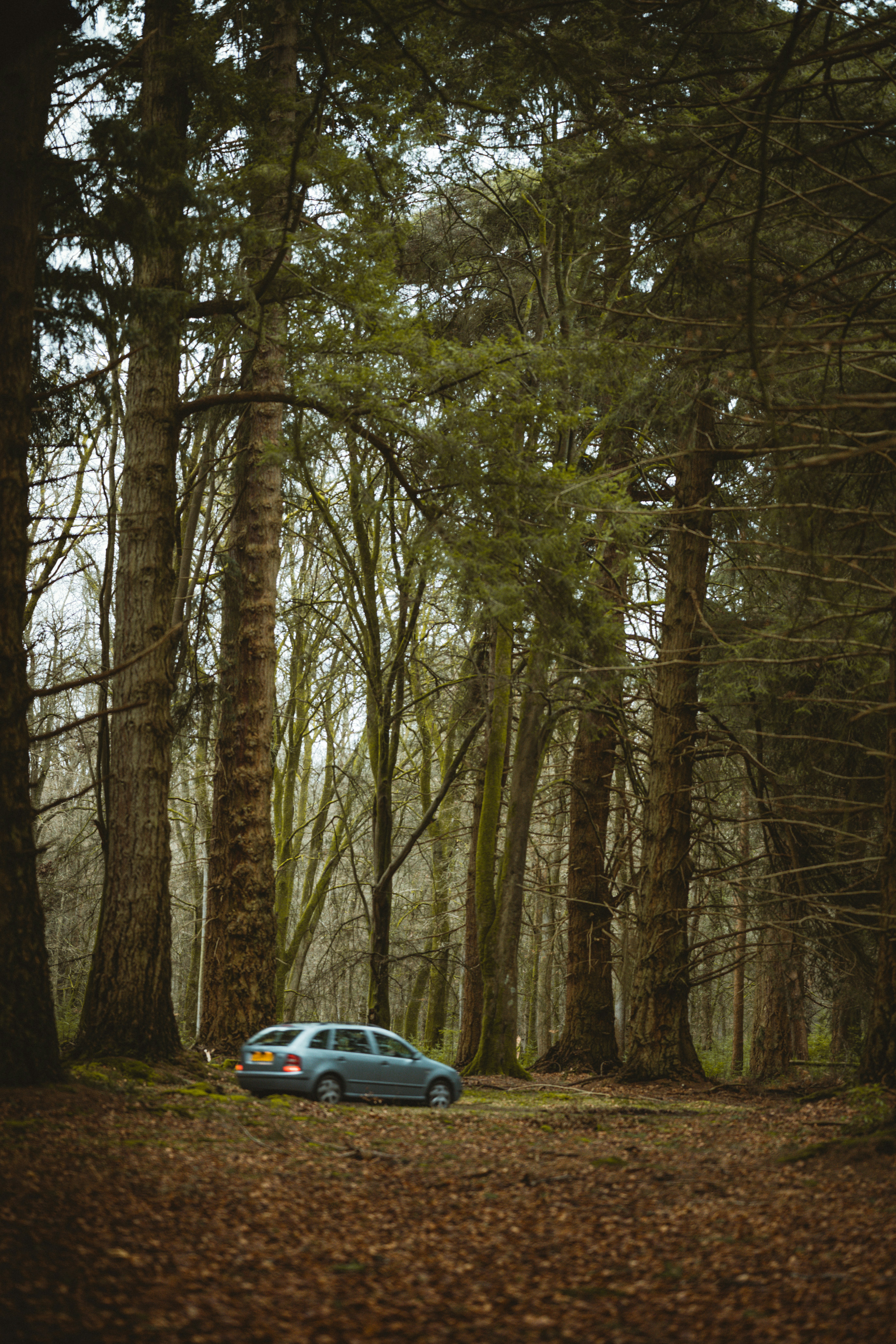 Hayon 5 portes grise photo – Photo Transport Gratuite sur Unsplash