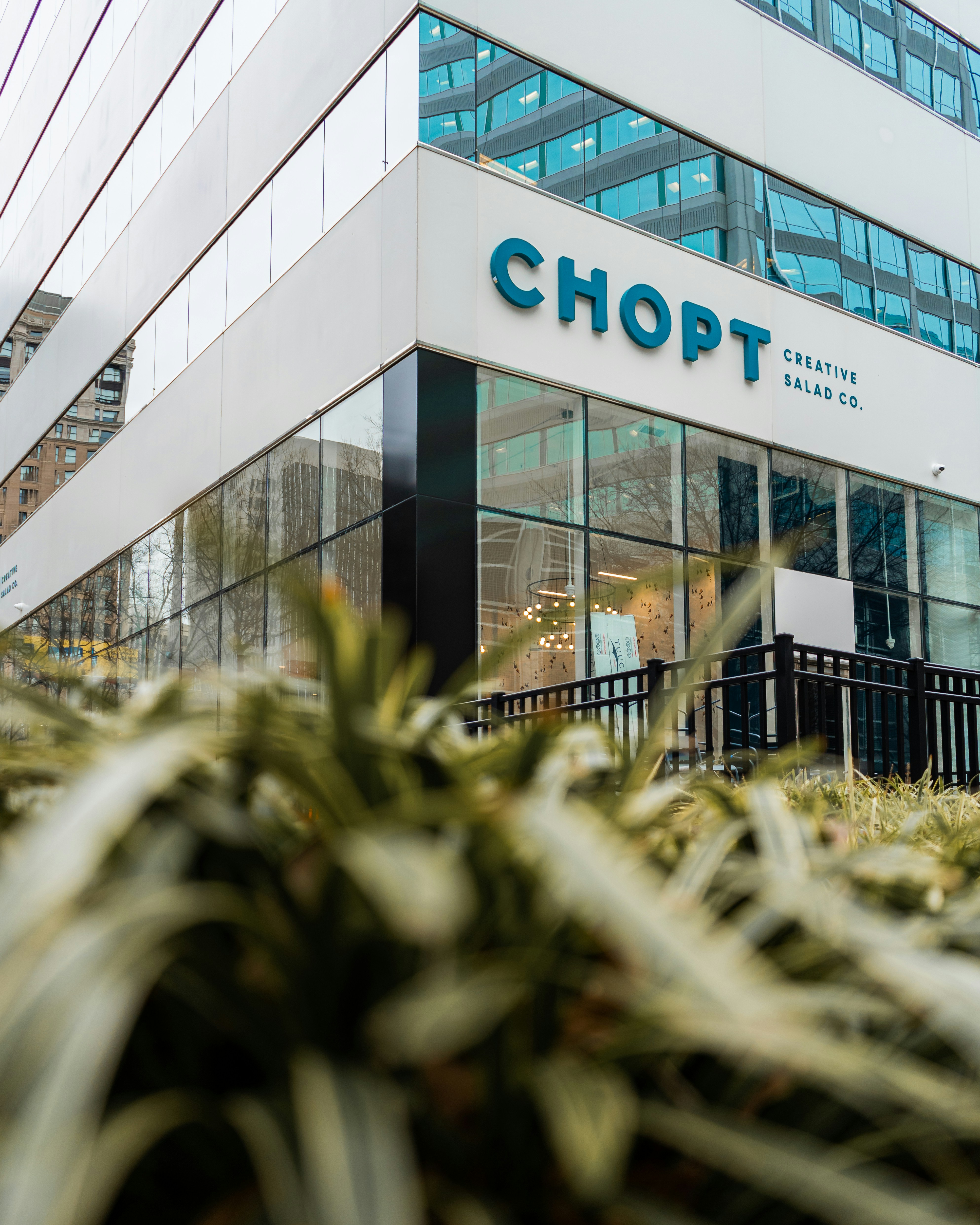 Plants beside white Chopt building photo – Free Richmond Image on Unsplash