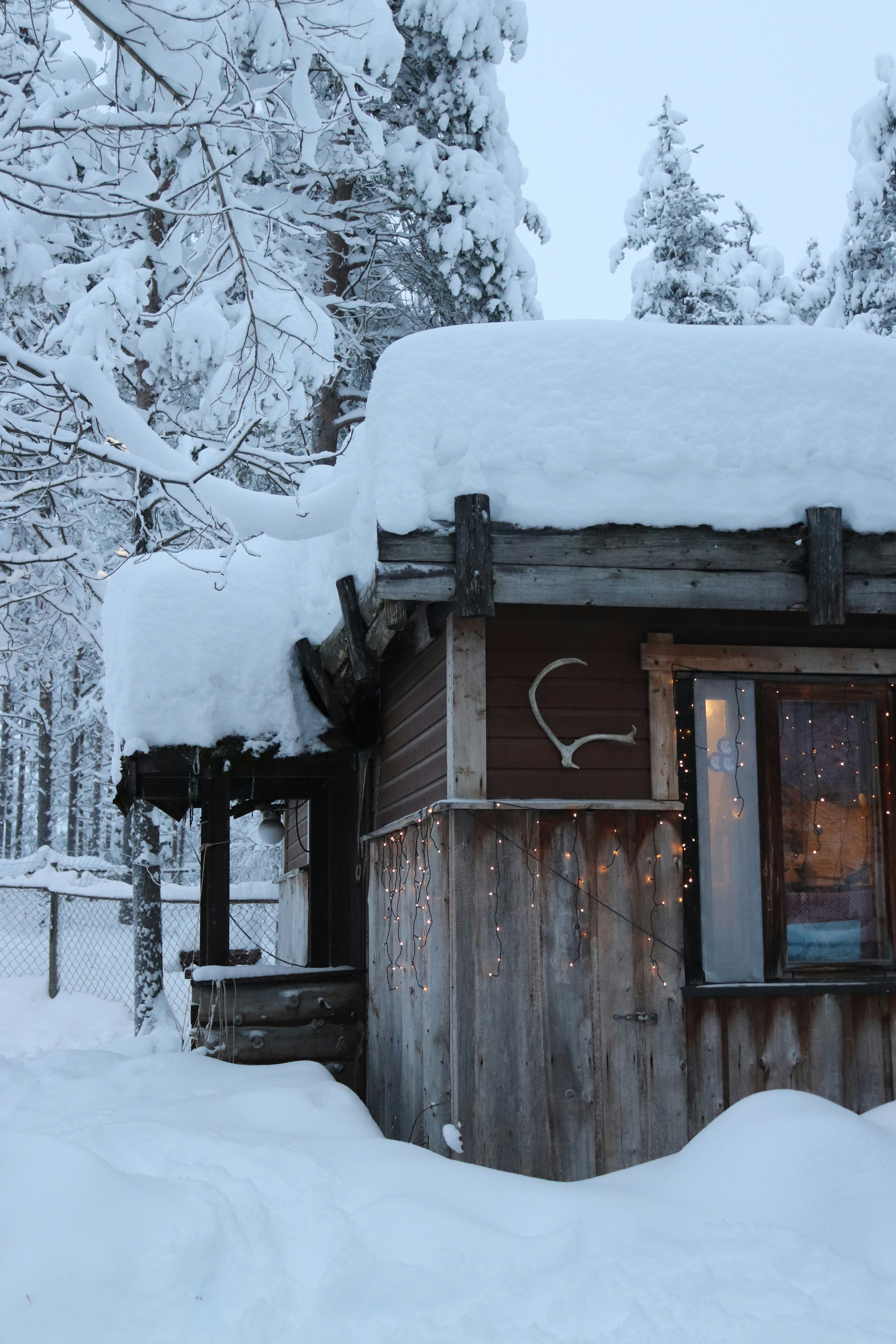 A rustic cabin adorned with twinkling lights, nestled in a snowy landscape surrounded by tall trees. The heavy snow on the roof adds to the serene atmosphere.