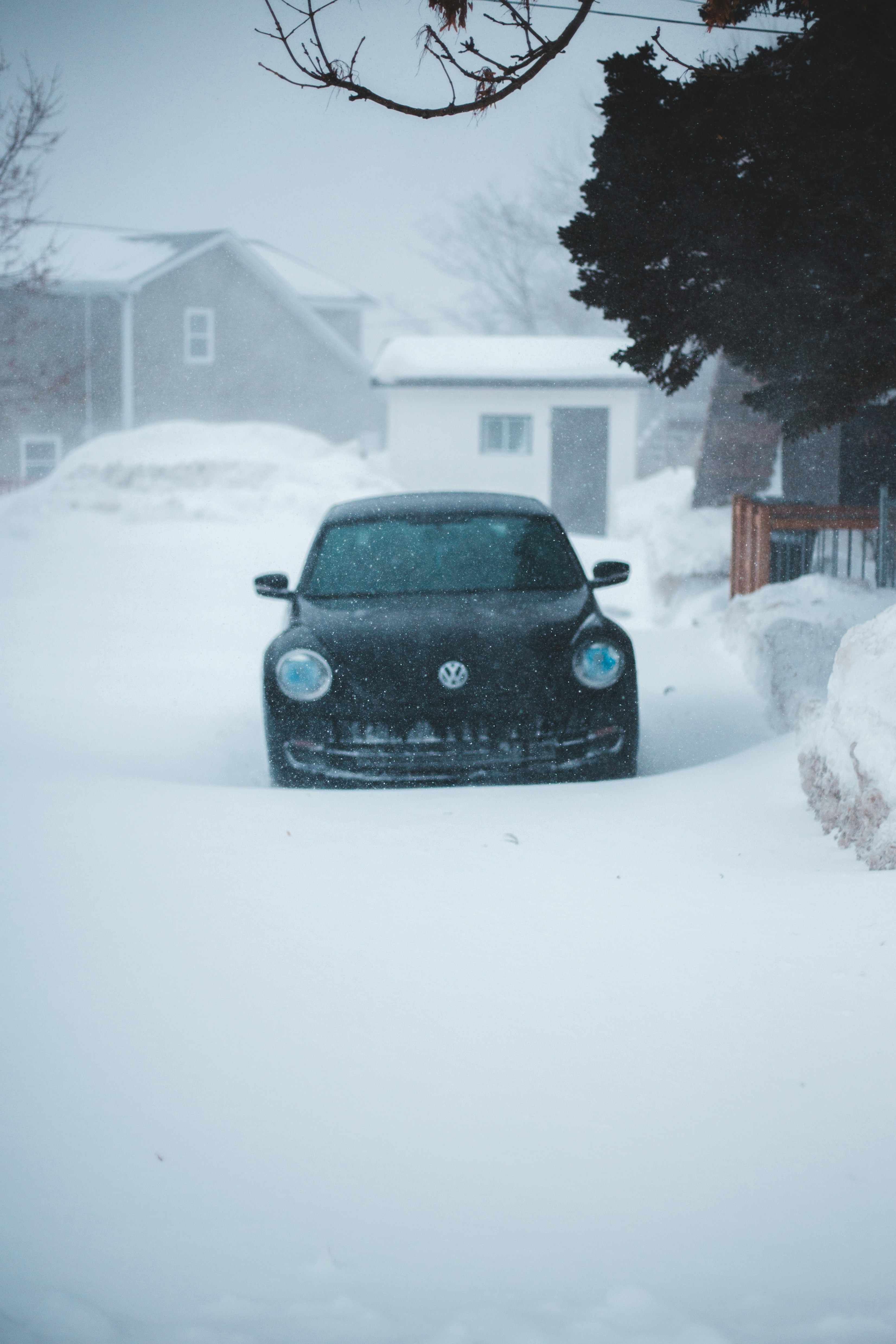 Black Volkswagen car parked near tree during snow photo – Free Grey ...
