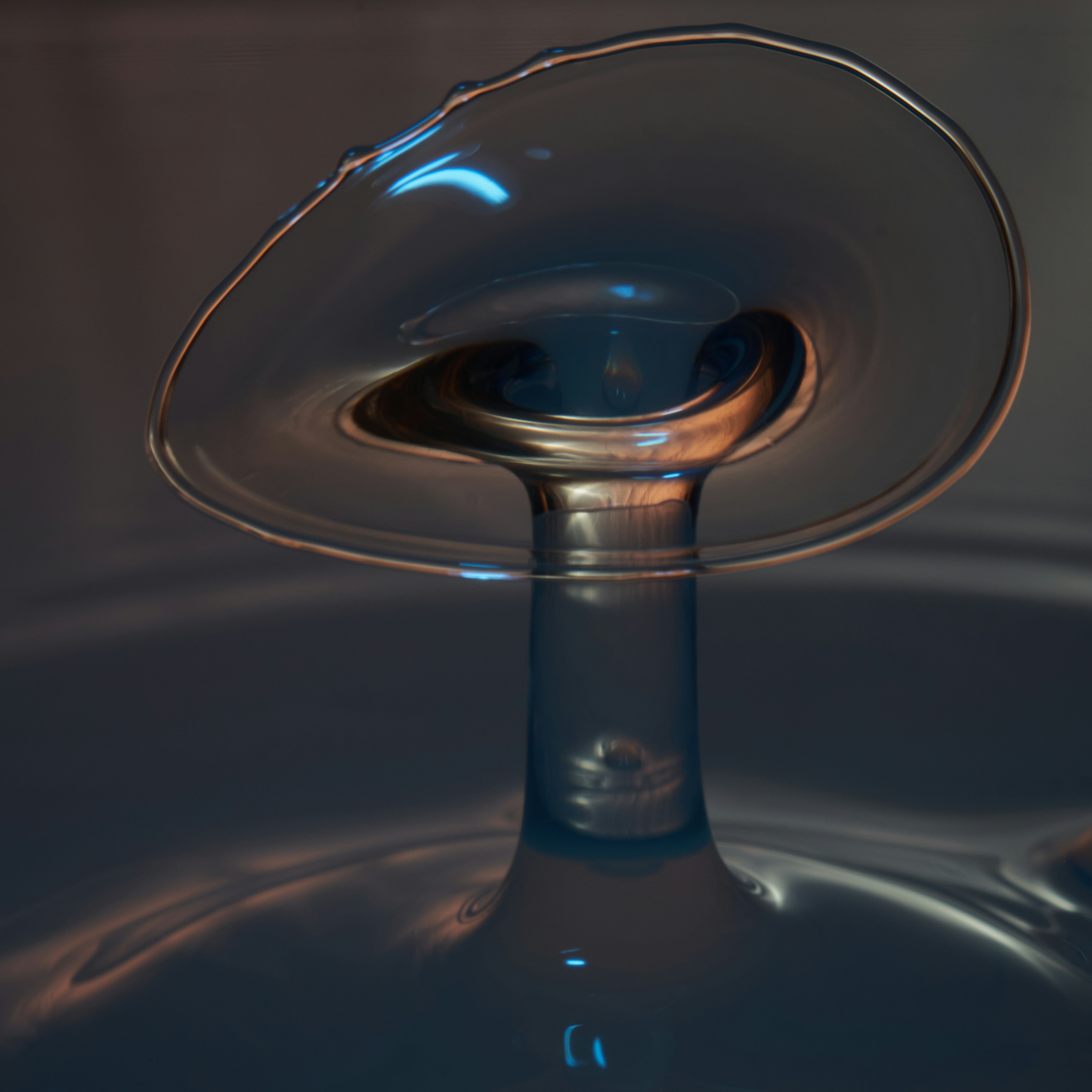 Selective focus photography of water drop photo – Free 841 10 ...