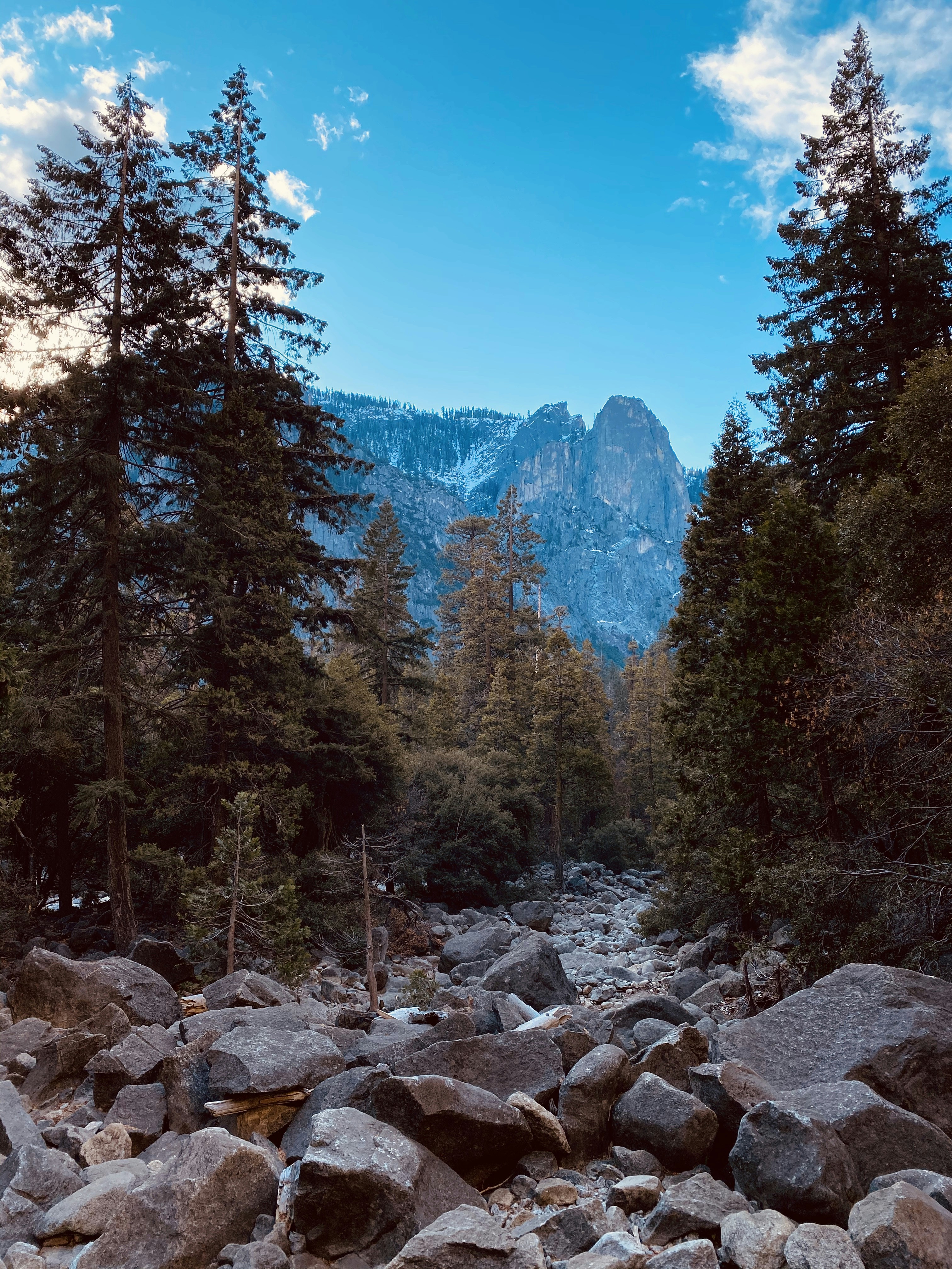 Foto Rocas en el río entre los árboles – Imagen Azul gratis en Unsplash