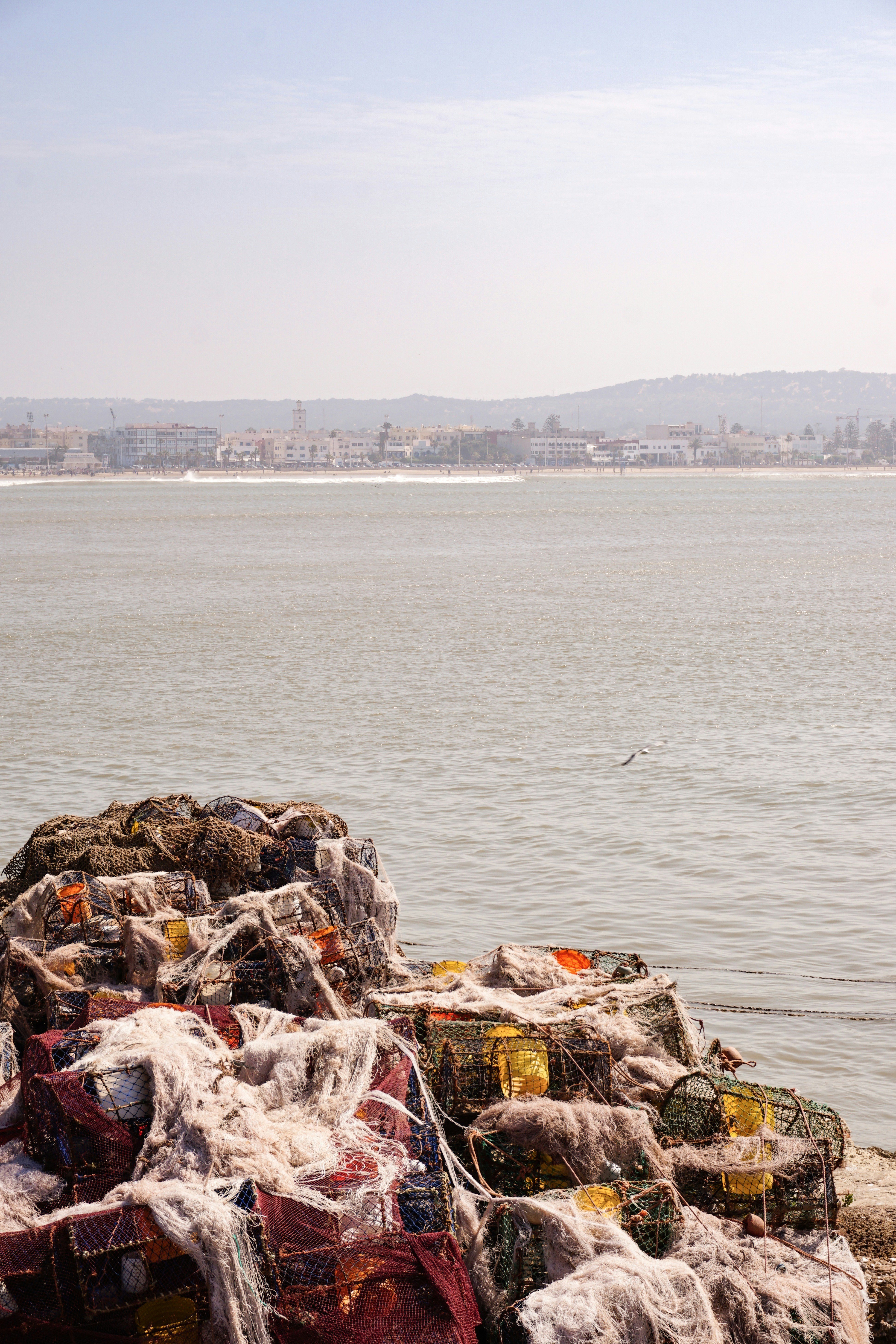 Sunlit Tangle: Weaving Nets Among Sea-Worn Rocks