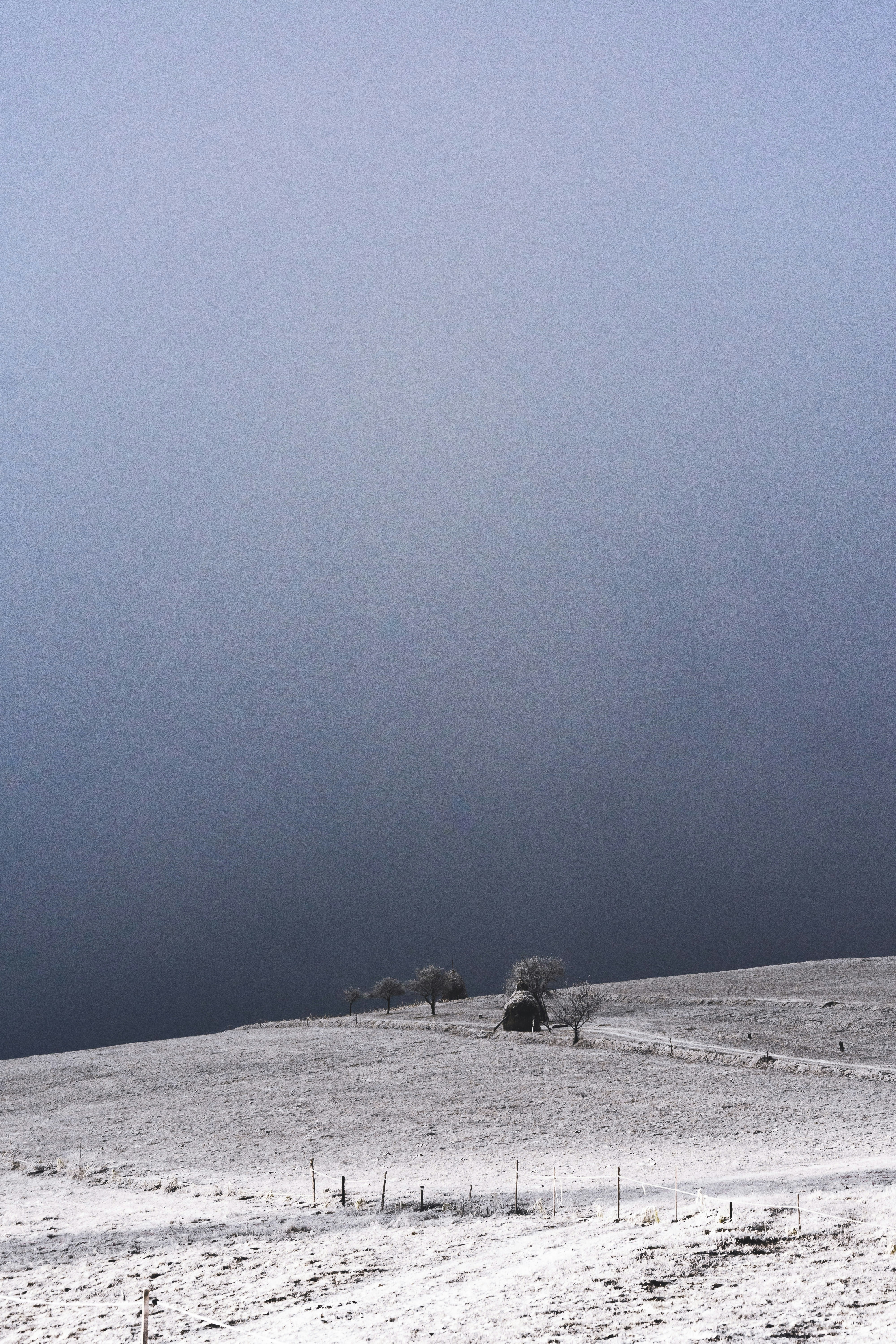 Winter Hilltop Silence: Snow, Trees, and a Lone Shelter