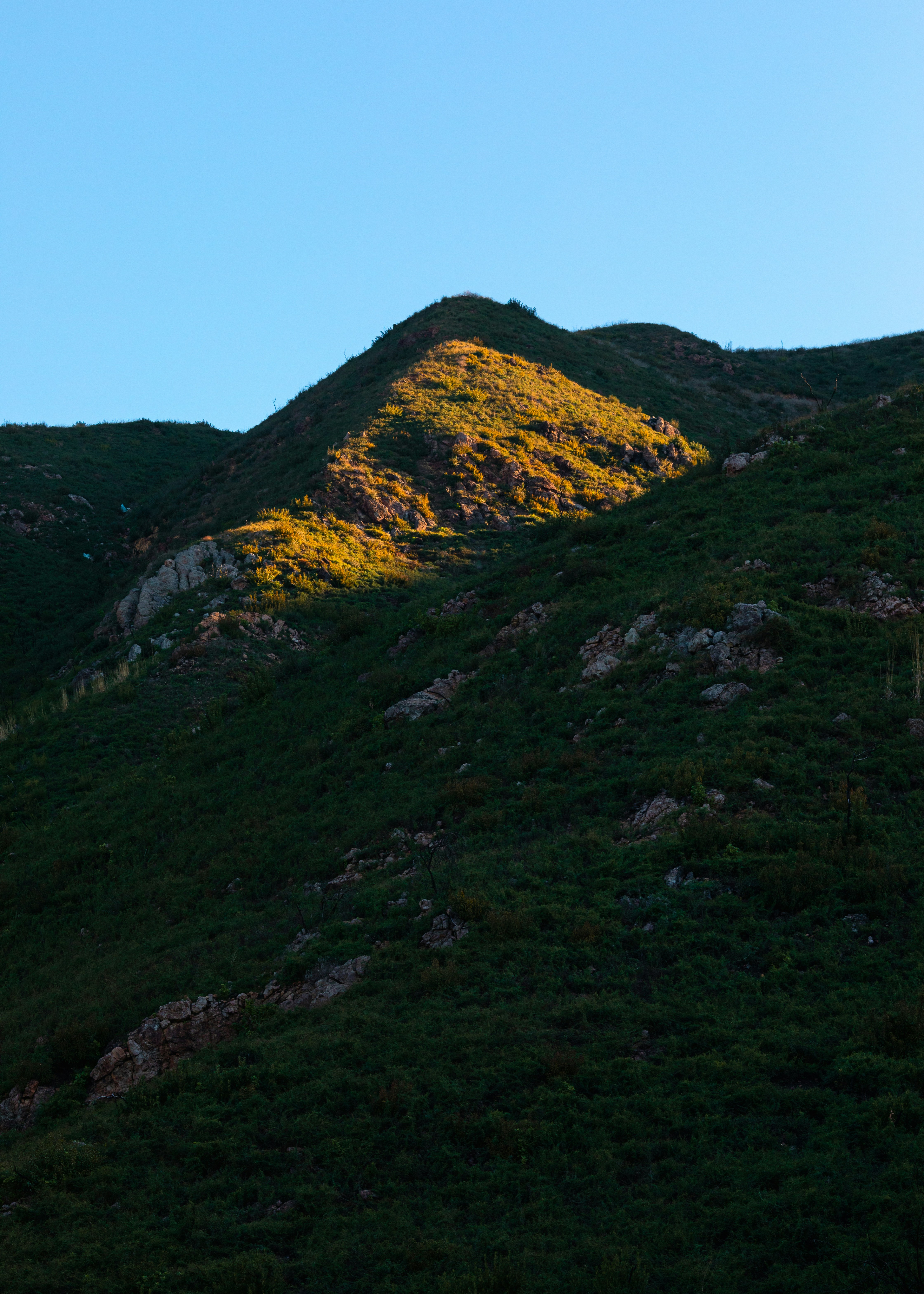 Sunlit Crest on a Quiet Mountain Ridge