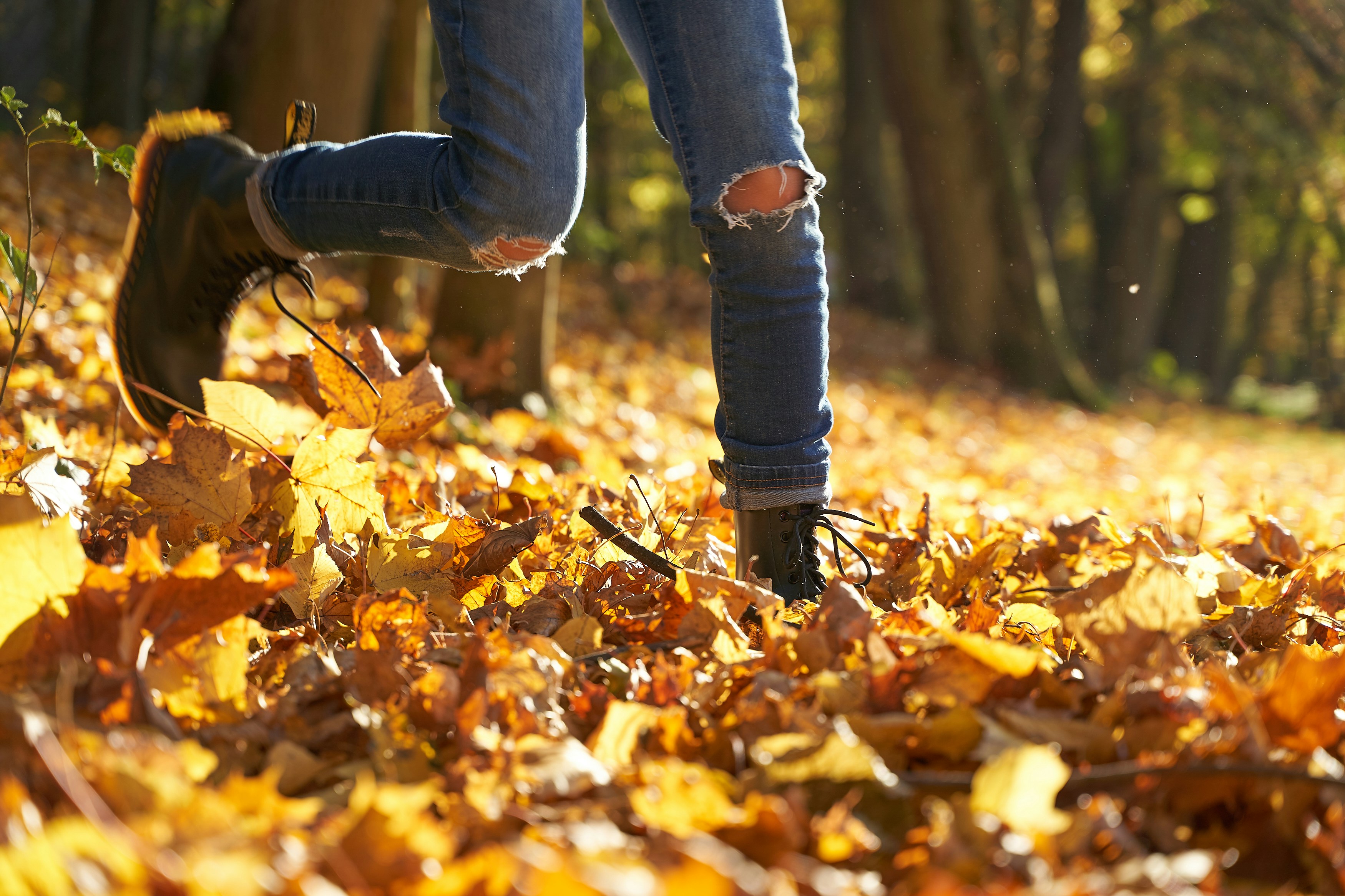Fall Prevention Pictures | Download Free Images on Unsplash