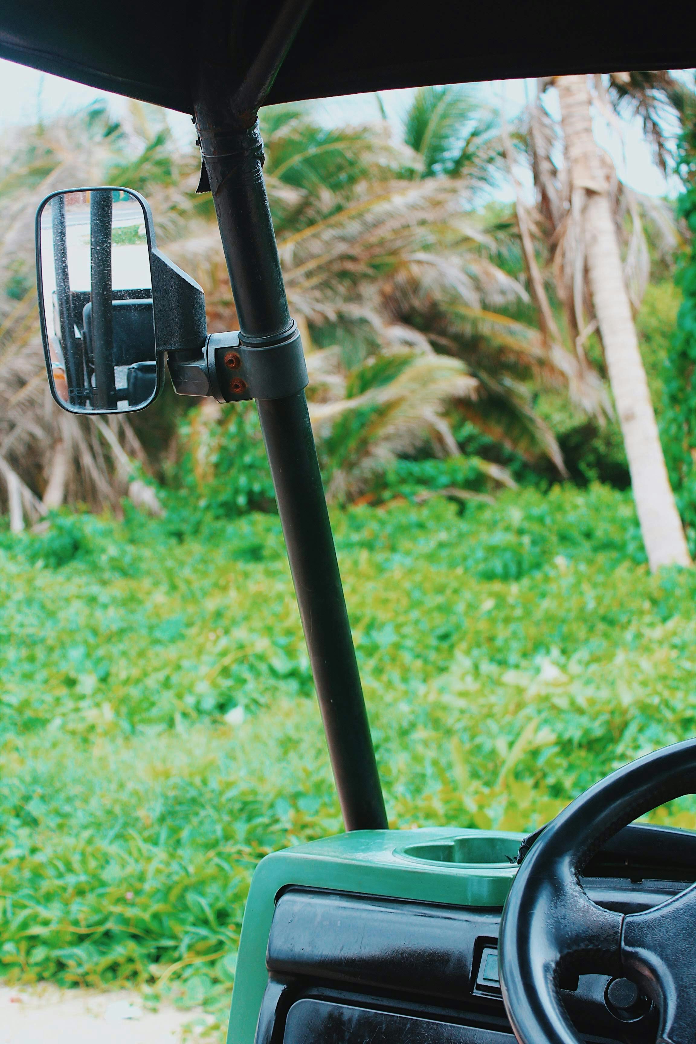 Verdant Backdrop Through a Vehicle's Side Mirror