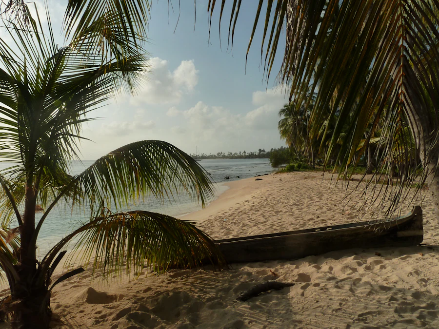 Sandy tropical shoreline framed by arching palm fronds, with calm water and a distant tree-lined horizon. A narrow wooden canoe rests on the beach in the foreground.