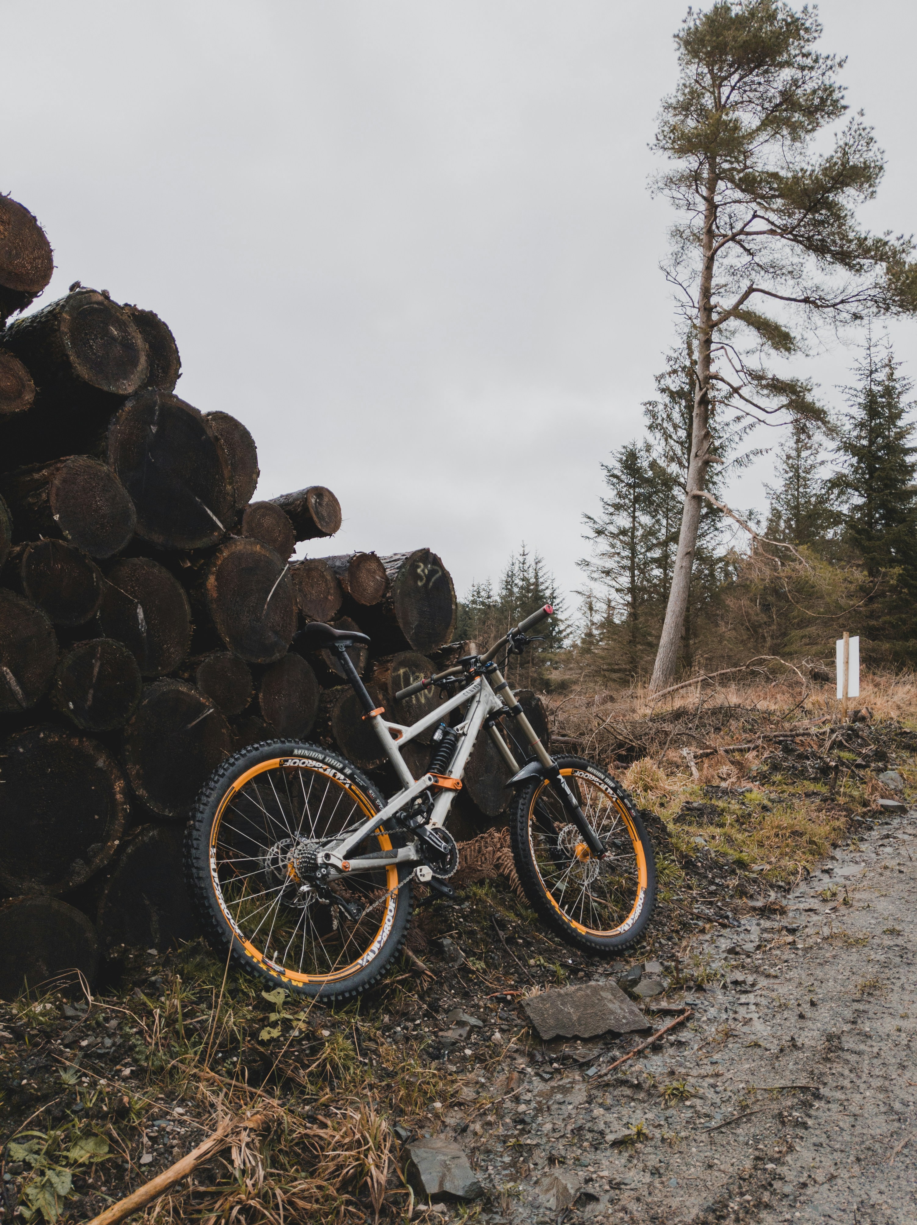 Bike leaned against stacked logs in a rugged woodland edge