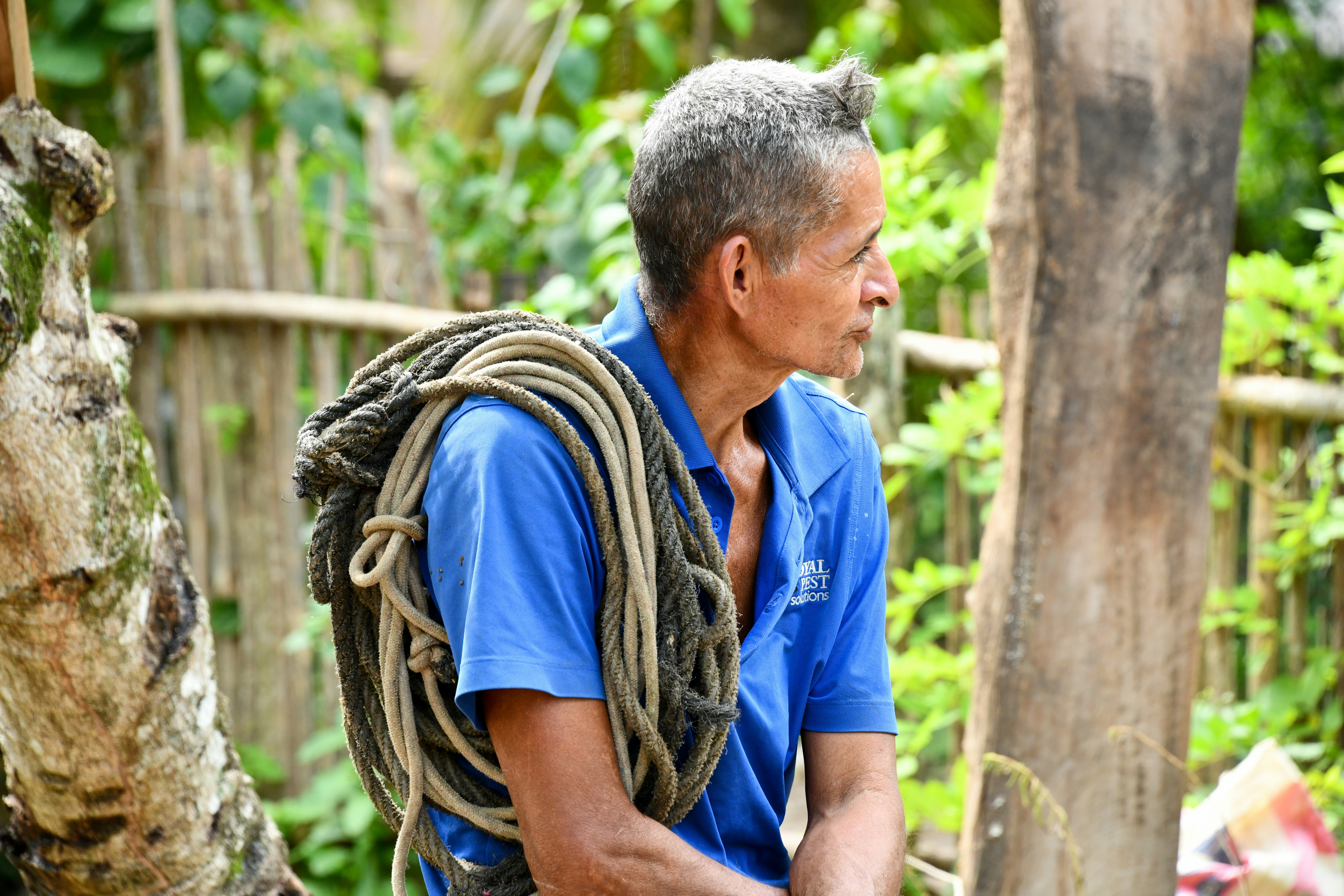 Man in a blue shirt with a rope over his shoulder gazes thoughtfully amidst a lush, rural setting.