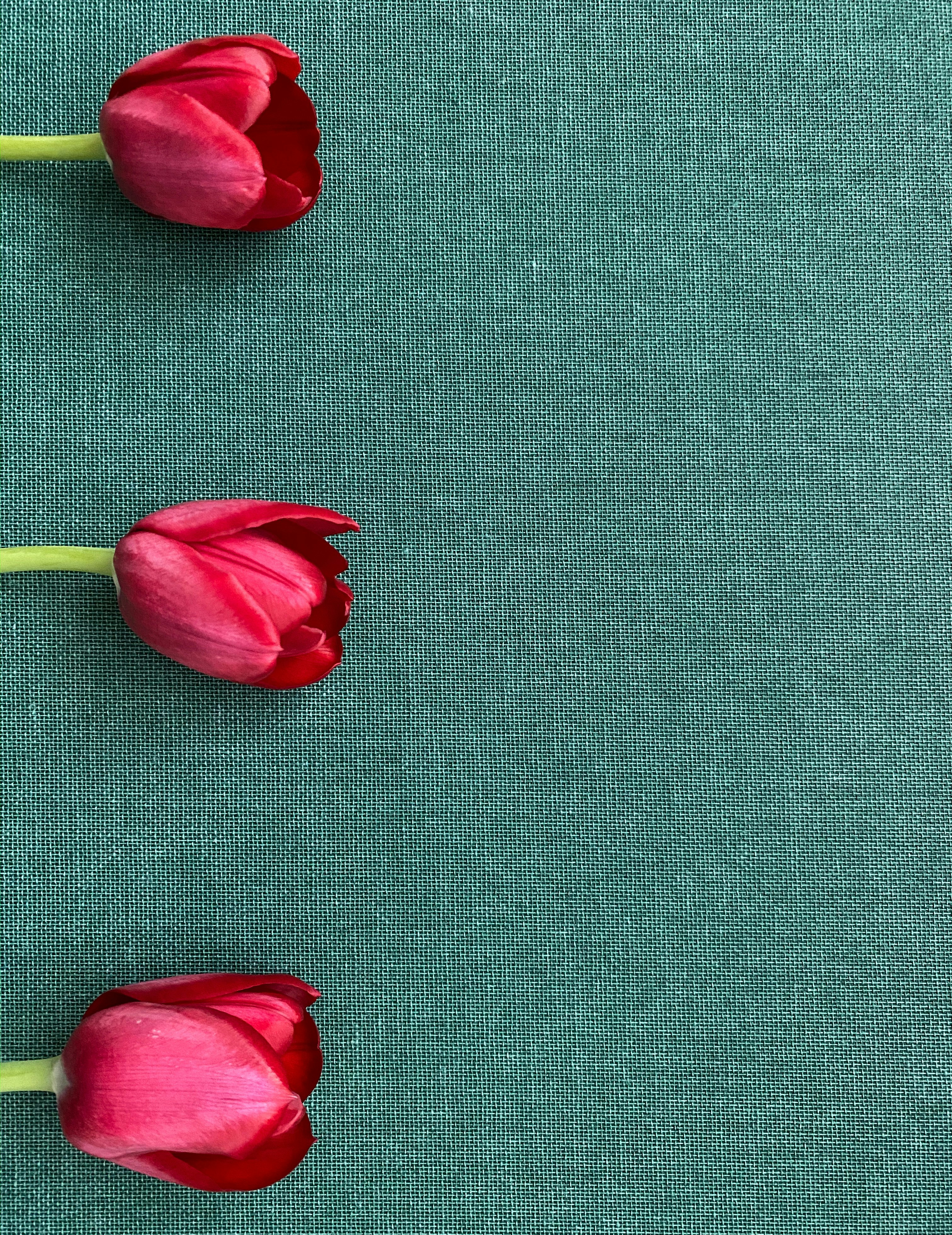 Vertical Trio of Crimson Tulips on Teal Linen