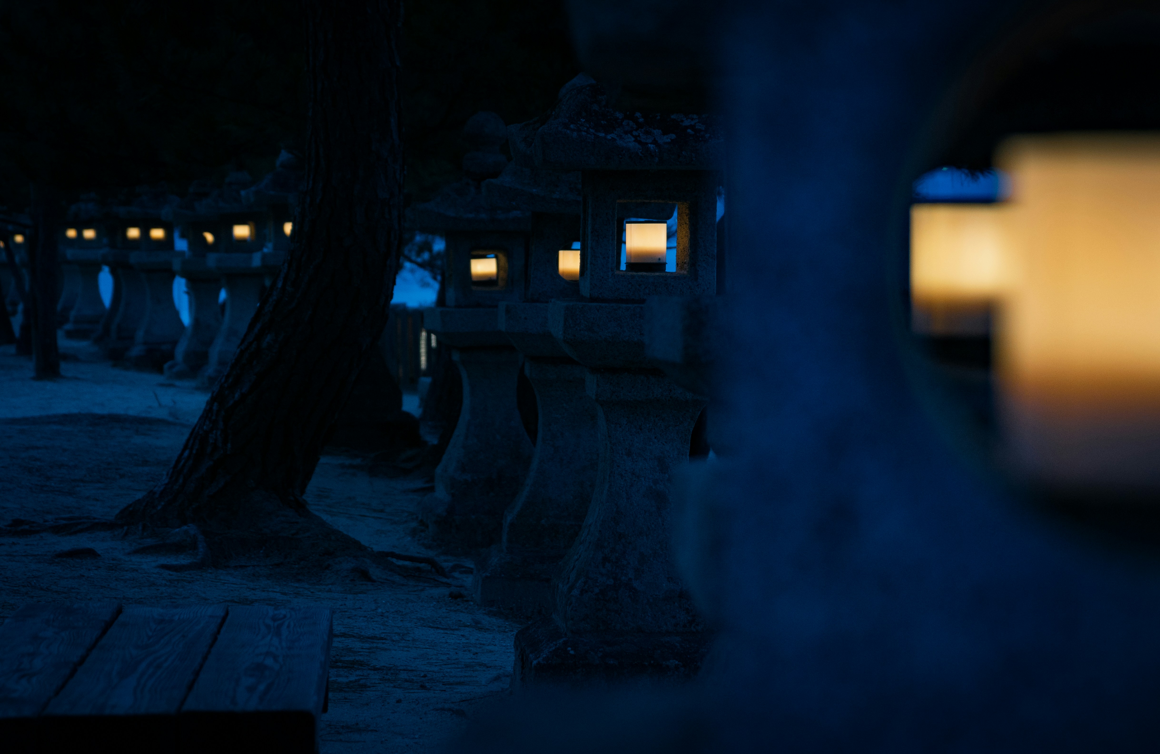 Miyajimacho Photos | Télécharger des images gratuites sur Unsplash