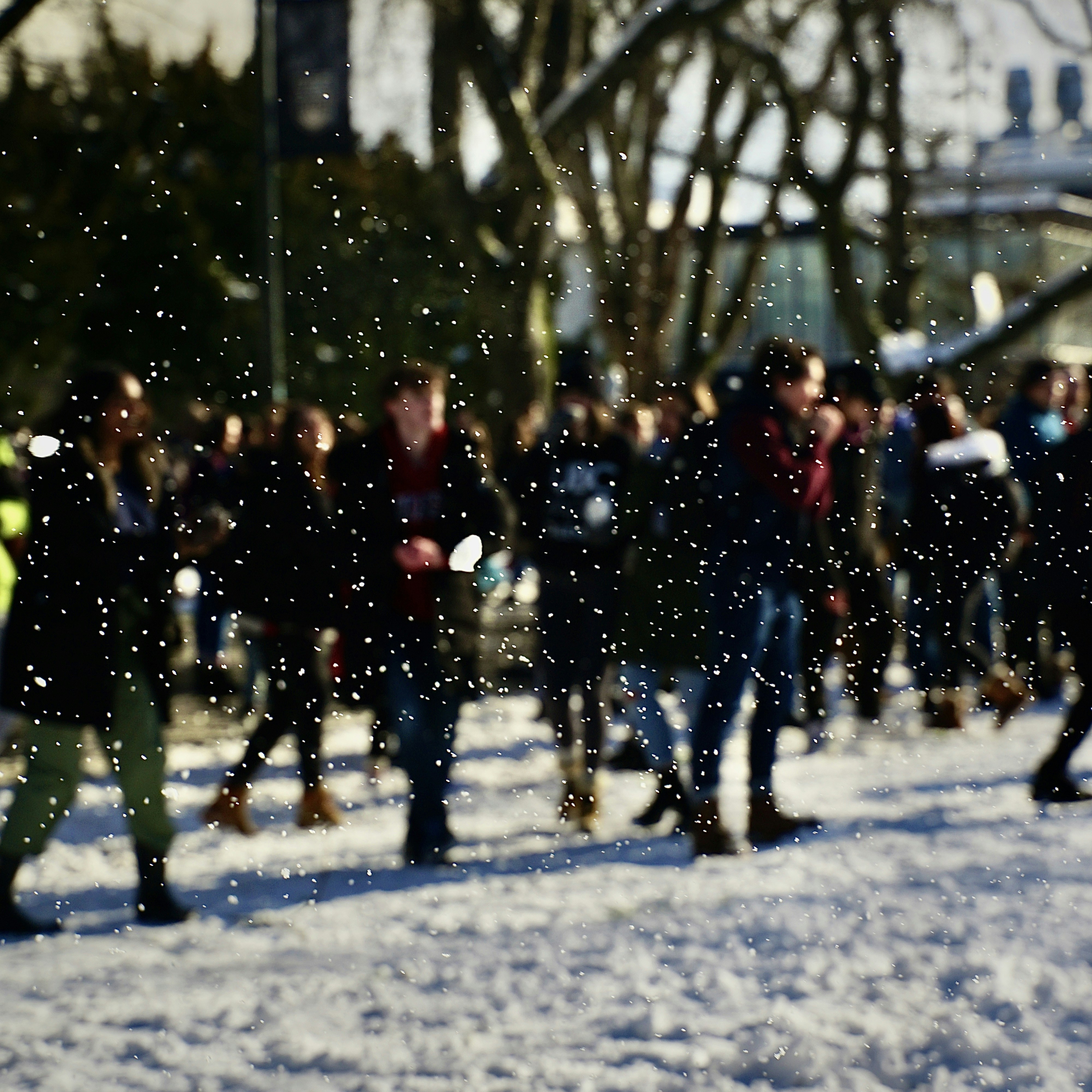 Snowfall Confetti Over a Blur of Winter Crowds