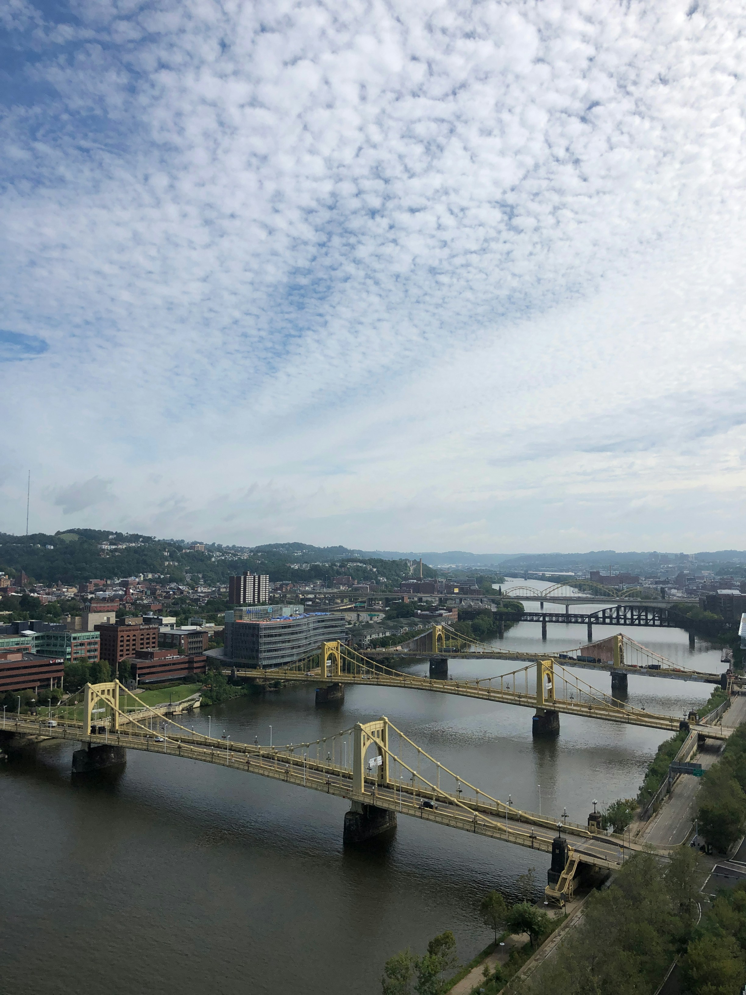 Golden Rivers: A City Between Bridges Over the Allegheny-Like Skyline