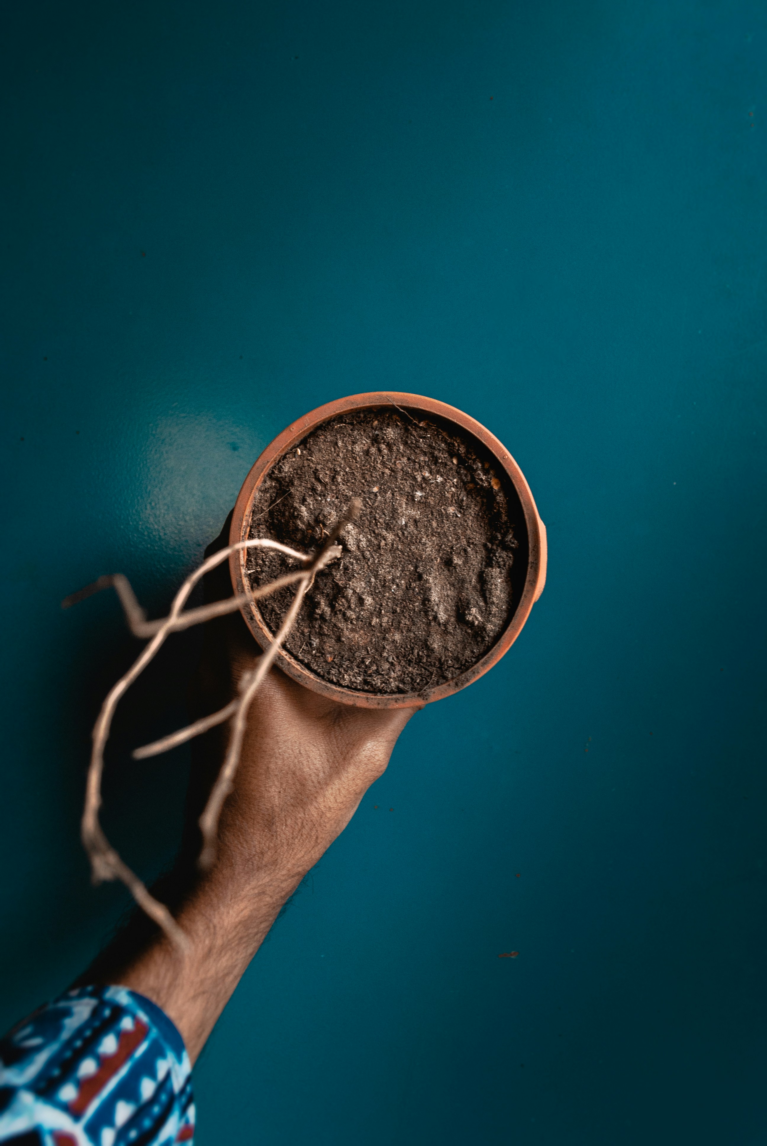 One Color Background Pictures | Download Free Images on Unsplash