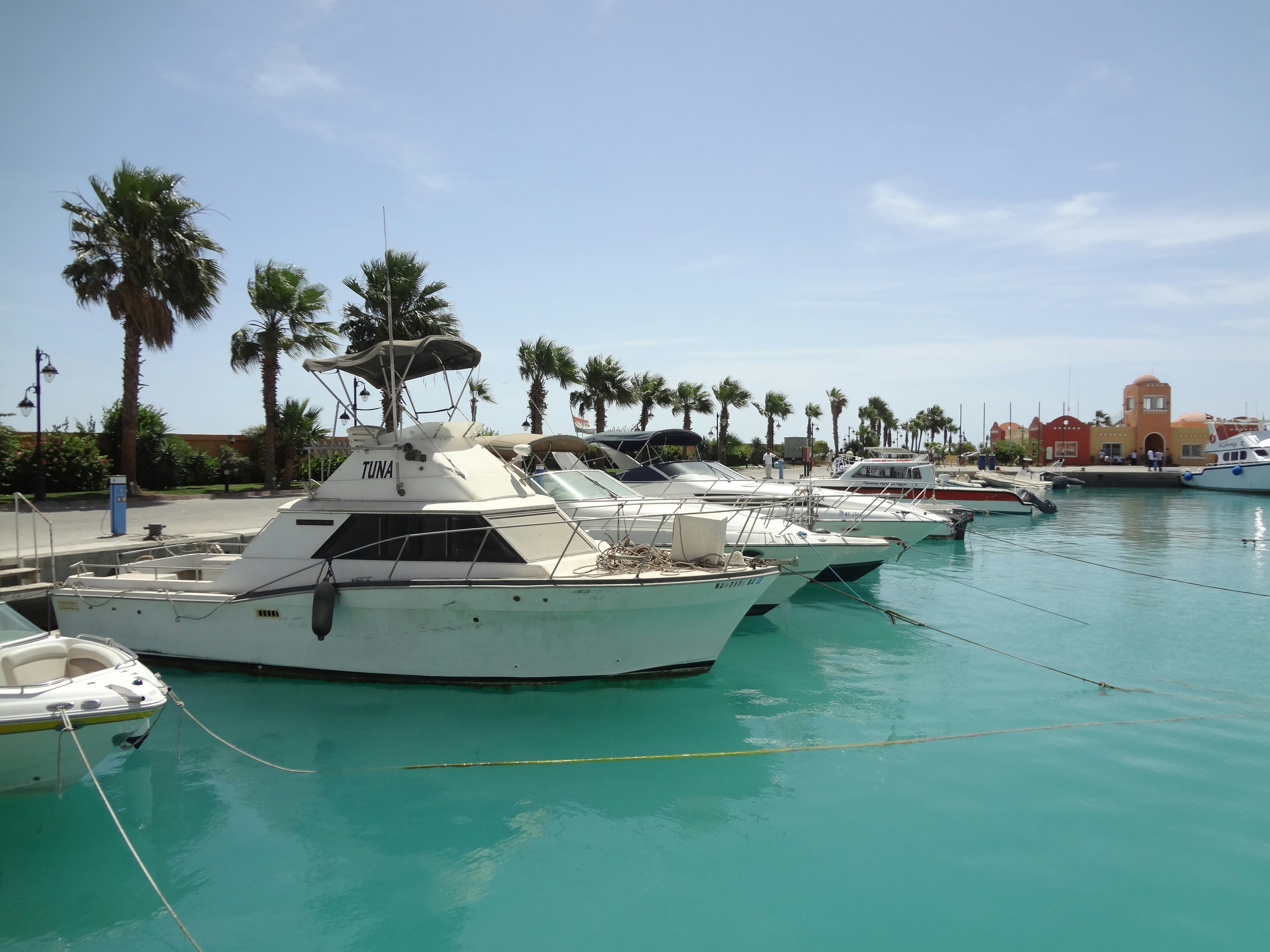 Fishing boats docked in a vibrant harbor with palm trees lining the shore. The turquoise water reflects the clear sky.