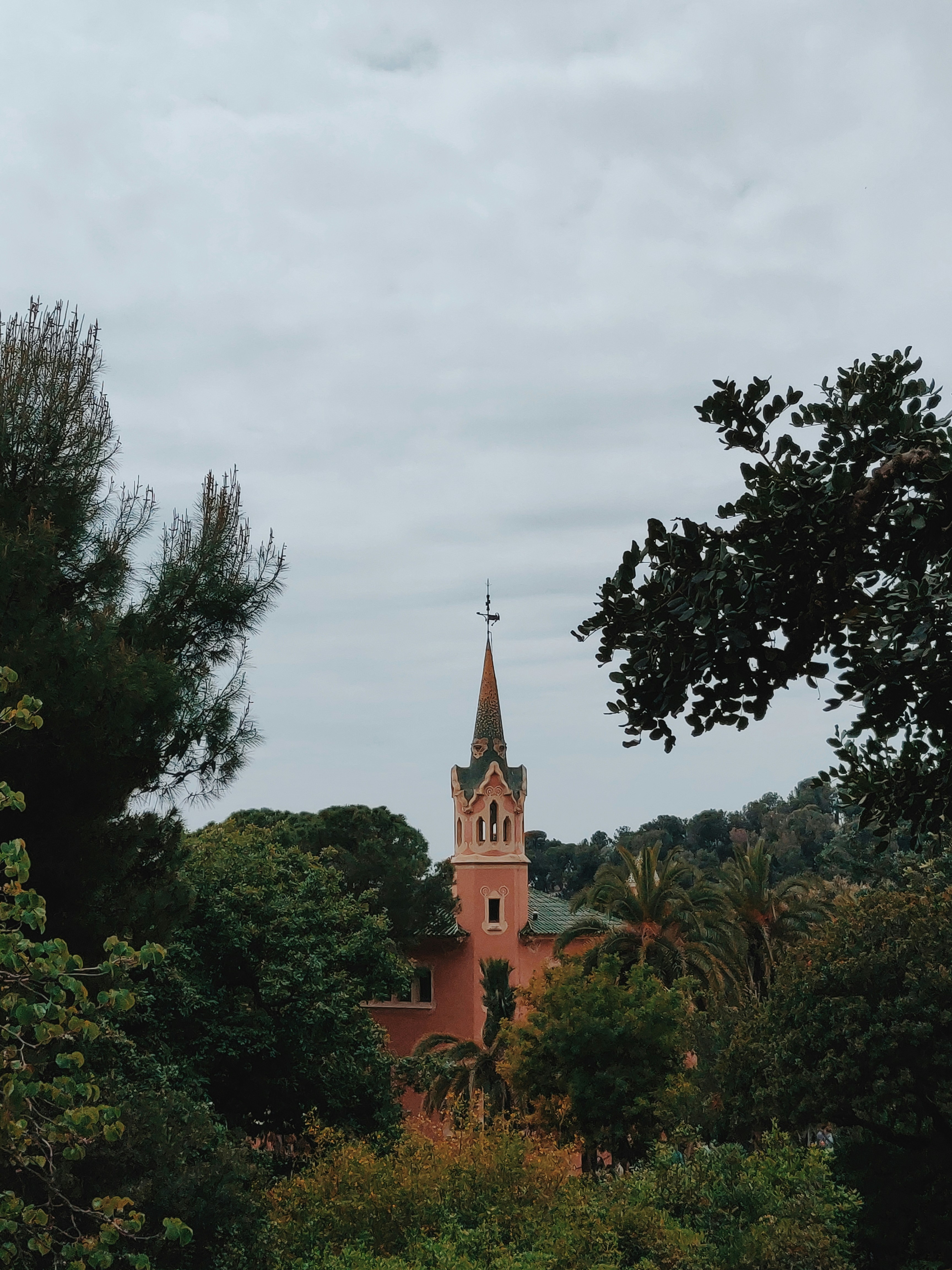 Spire Among the Foliage: a peach-colored church framed by trees