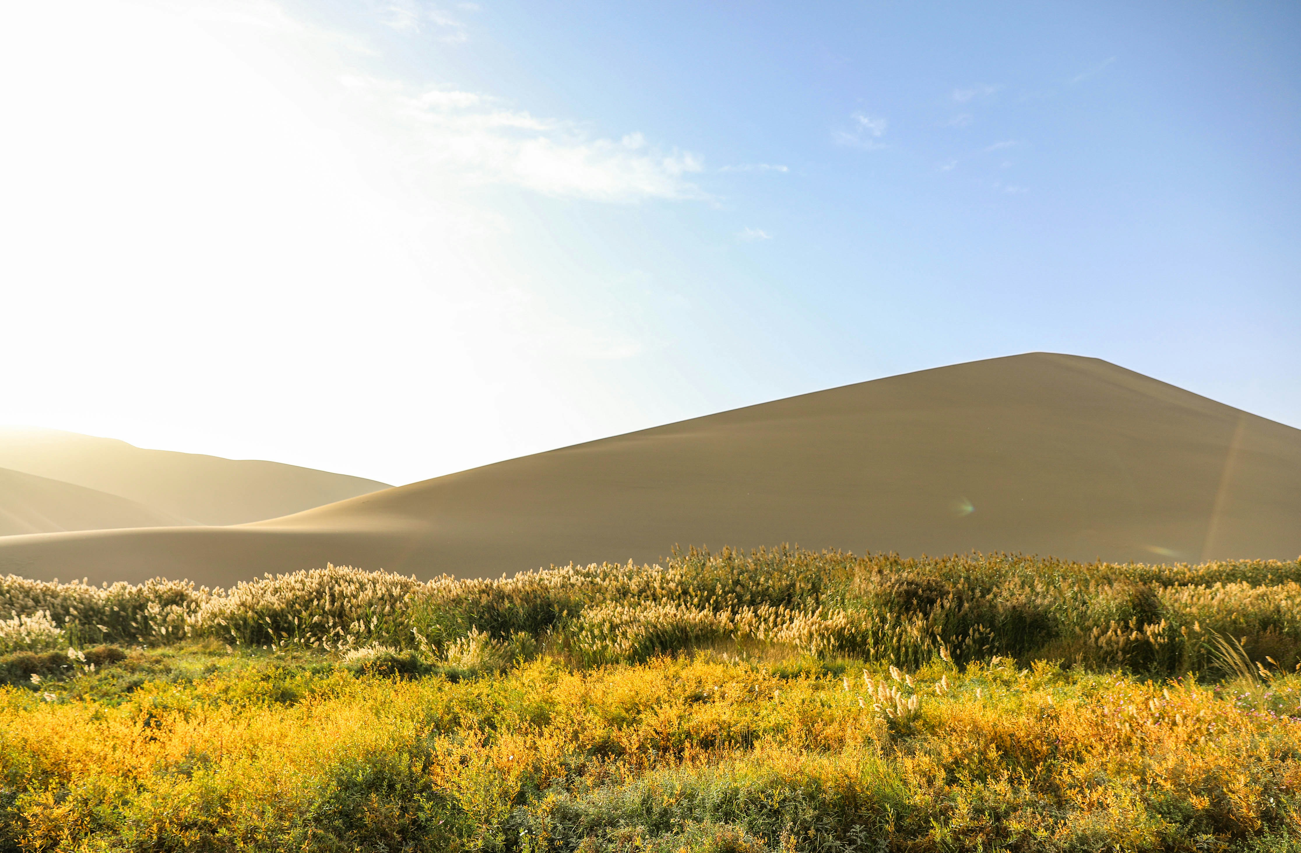The sun shines on the sand dunes in the desert photo – Free Jiuquan ...